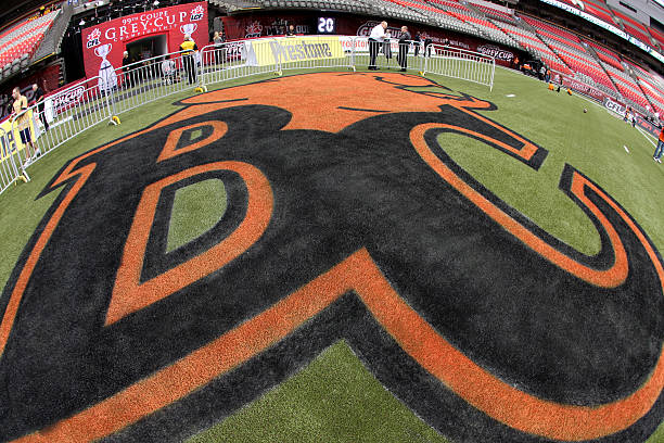 Punter Jake Ford Picked No. 1 Overall by BC Lions in 2021 CFL Draft ...