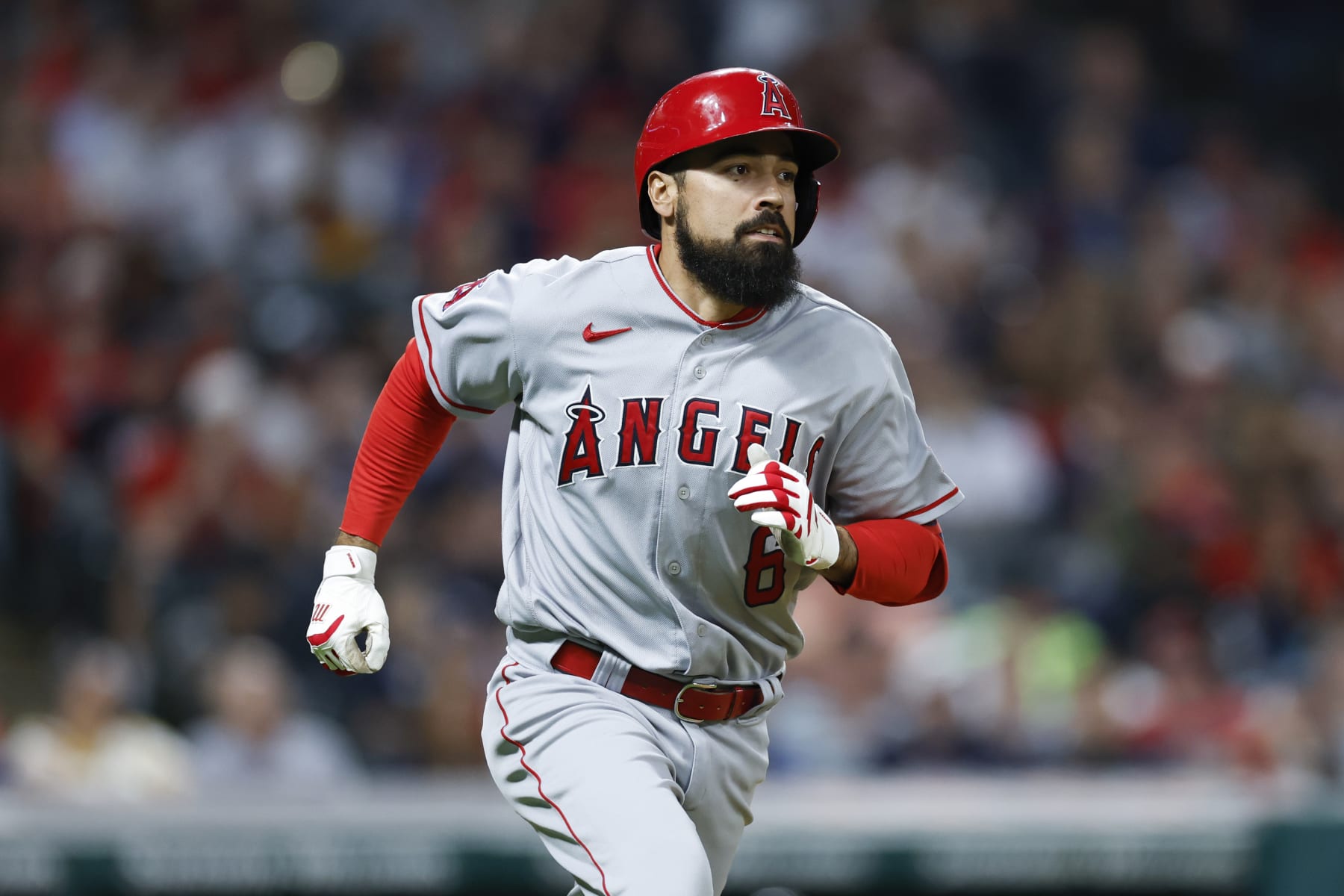 Angels' Anthony Rendon Won't Face Charges After Grabbing Fan's Shirt on ...