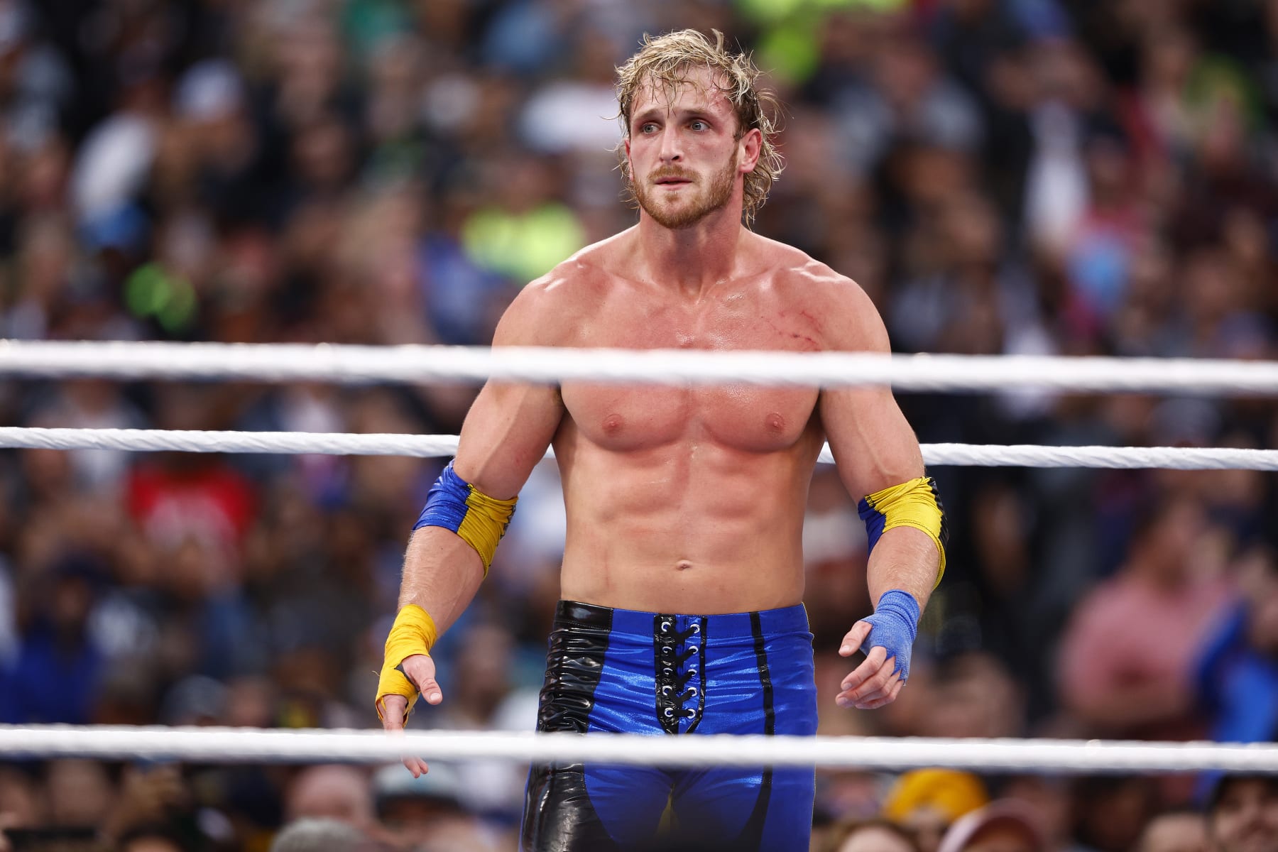 Logan Paul Open to Making UFC Debut on Elon Musk vs. Mark Zuckerberg ...