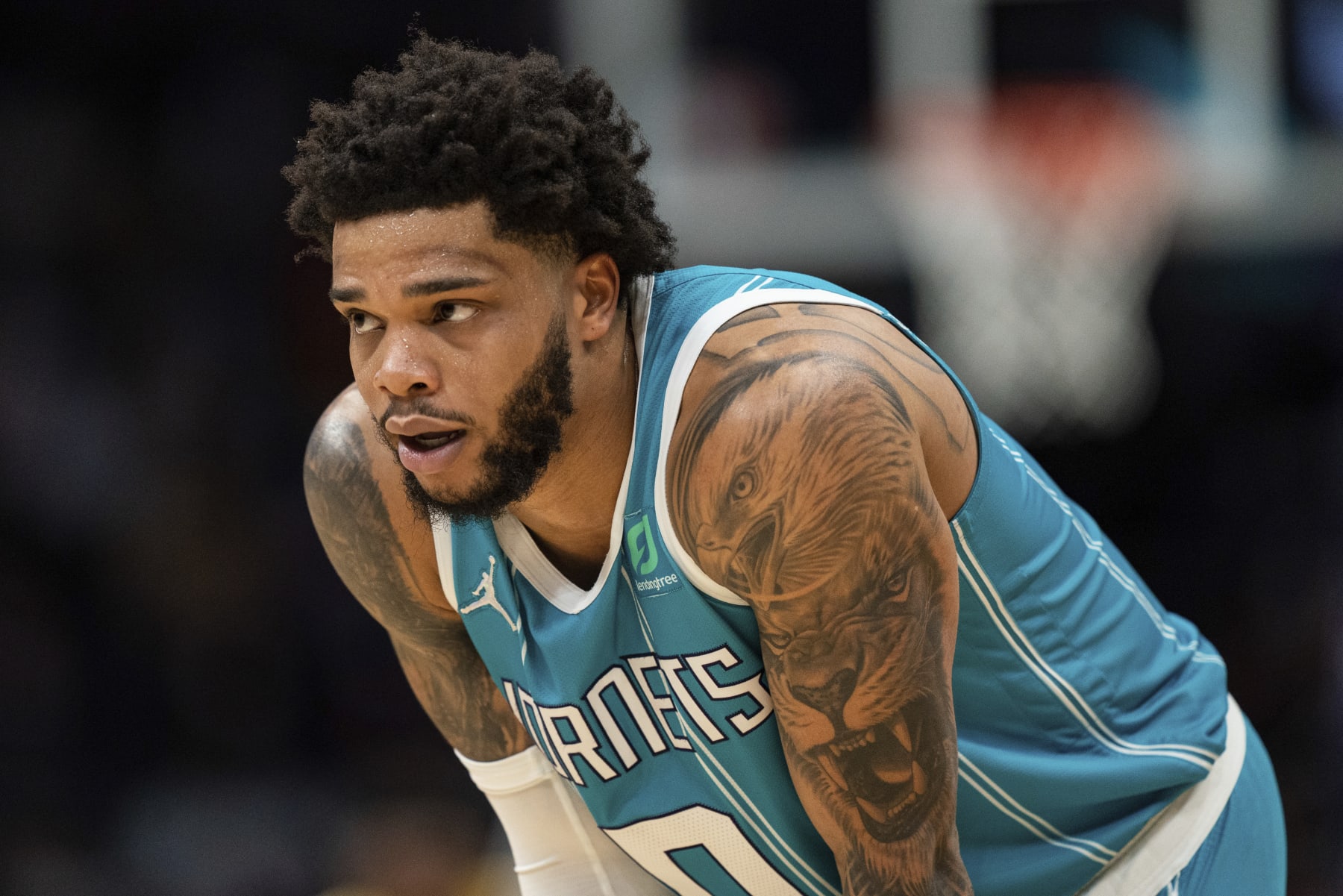 Hornets Rumors: Miles Bridges Wanted Over $25M Per Year in New CHA ...