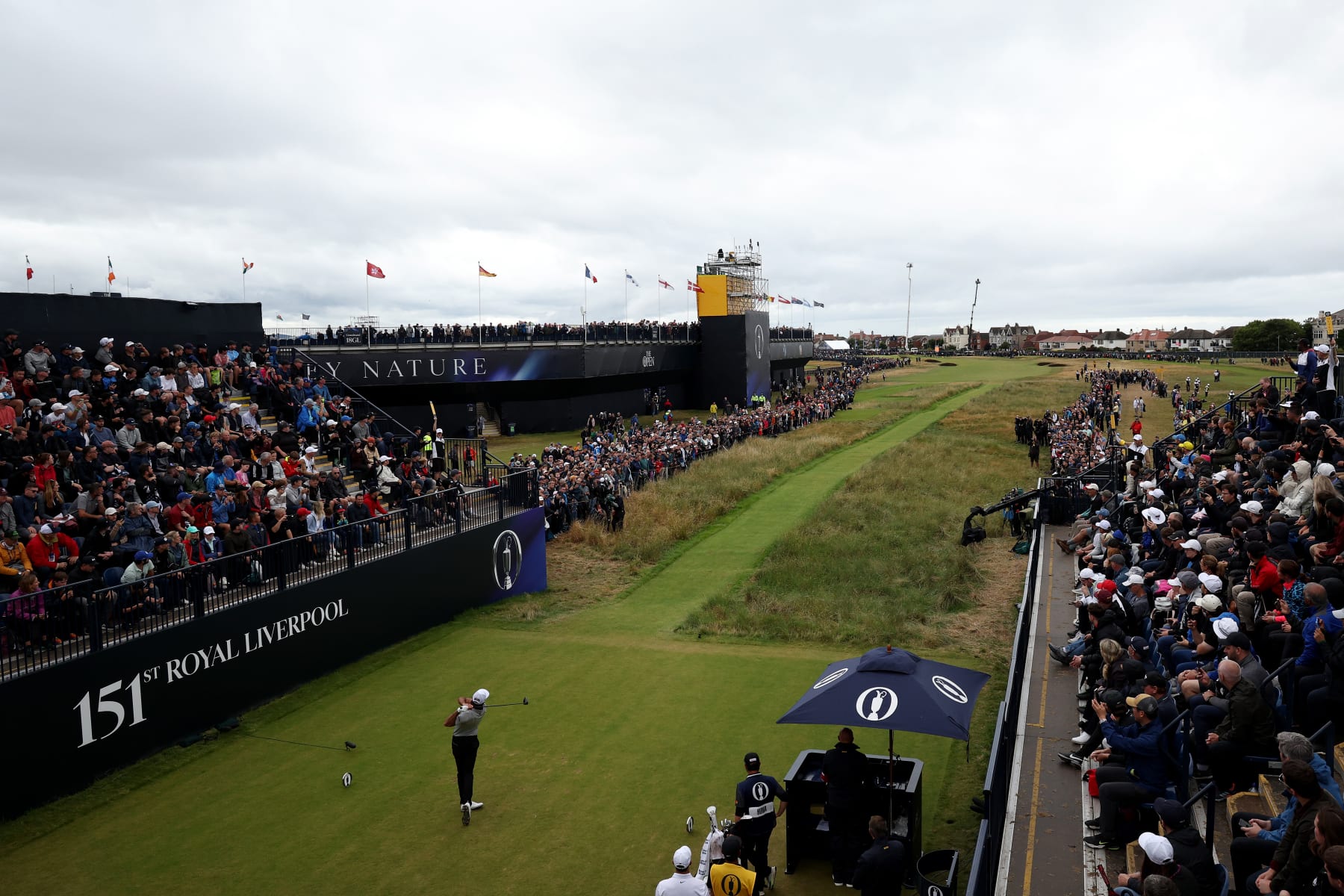 Video: British Open 2023 Briefly Delayed by Rare Species of Toad ...