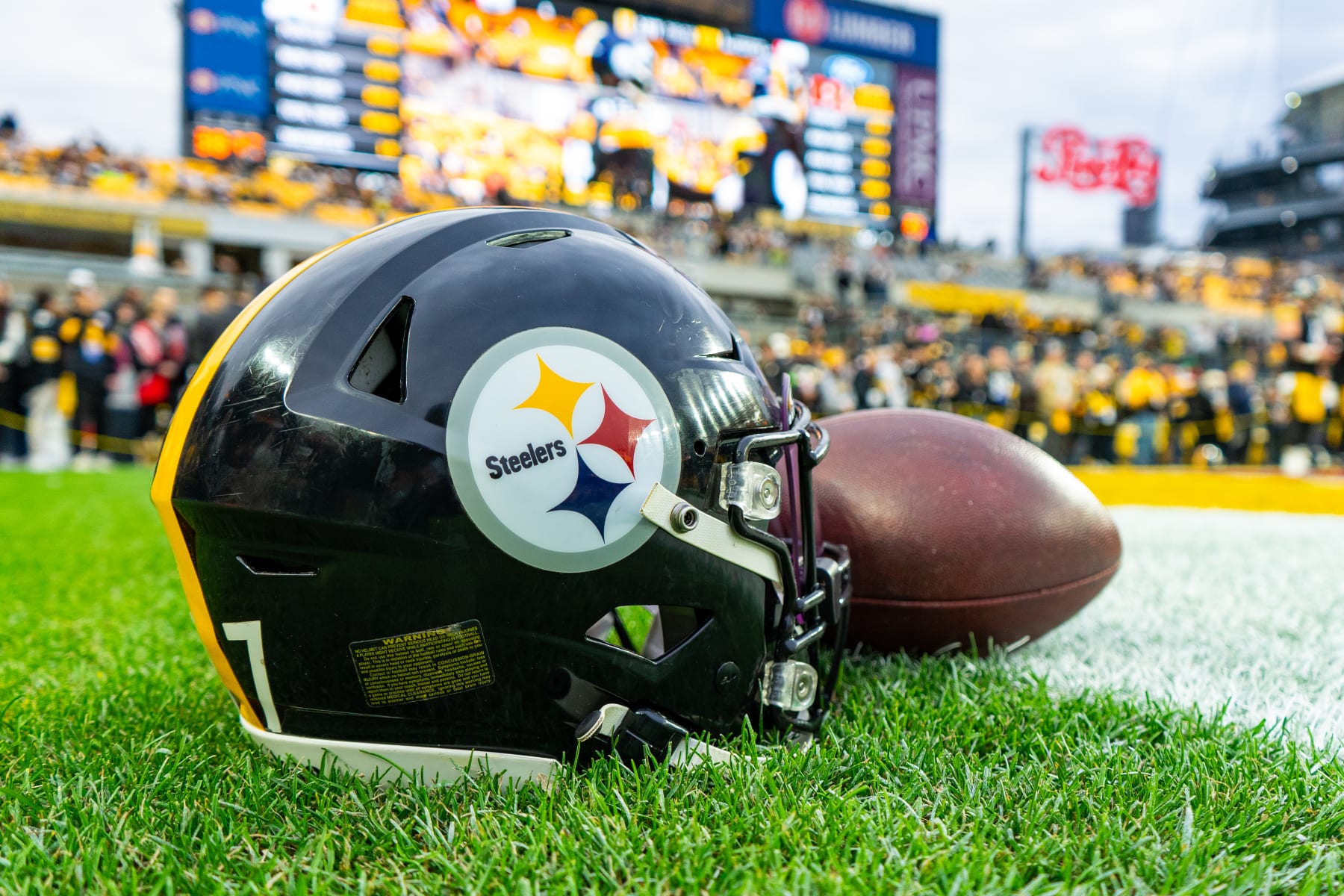 Rapid Concussion Blood Test Researched by Steelers' Neurologist ...
