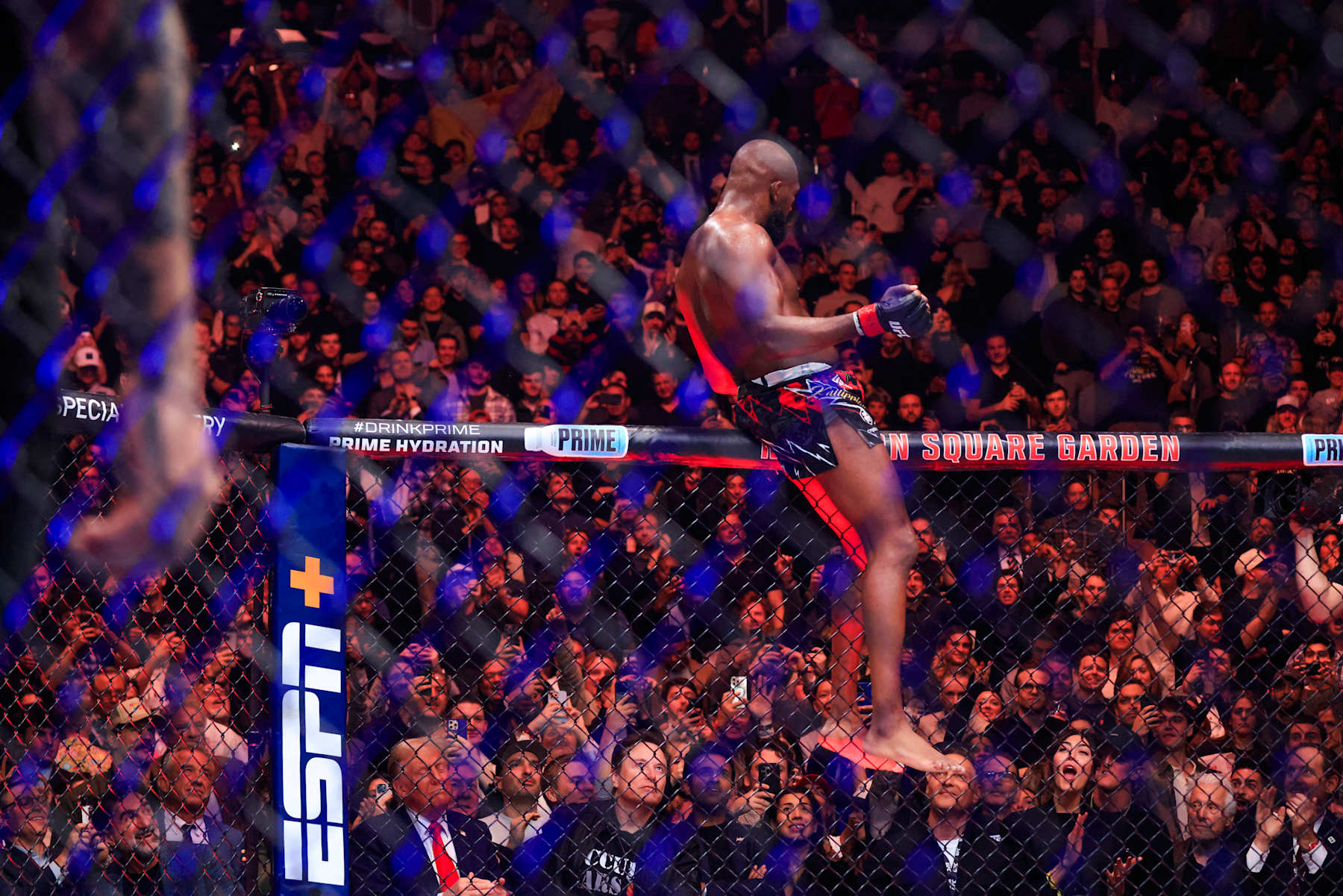 5 Fights We Need to See After UFC 309 | News, Scores, Highlights, Stats ...