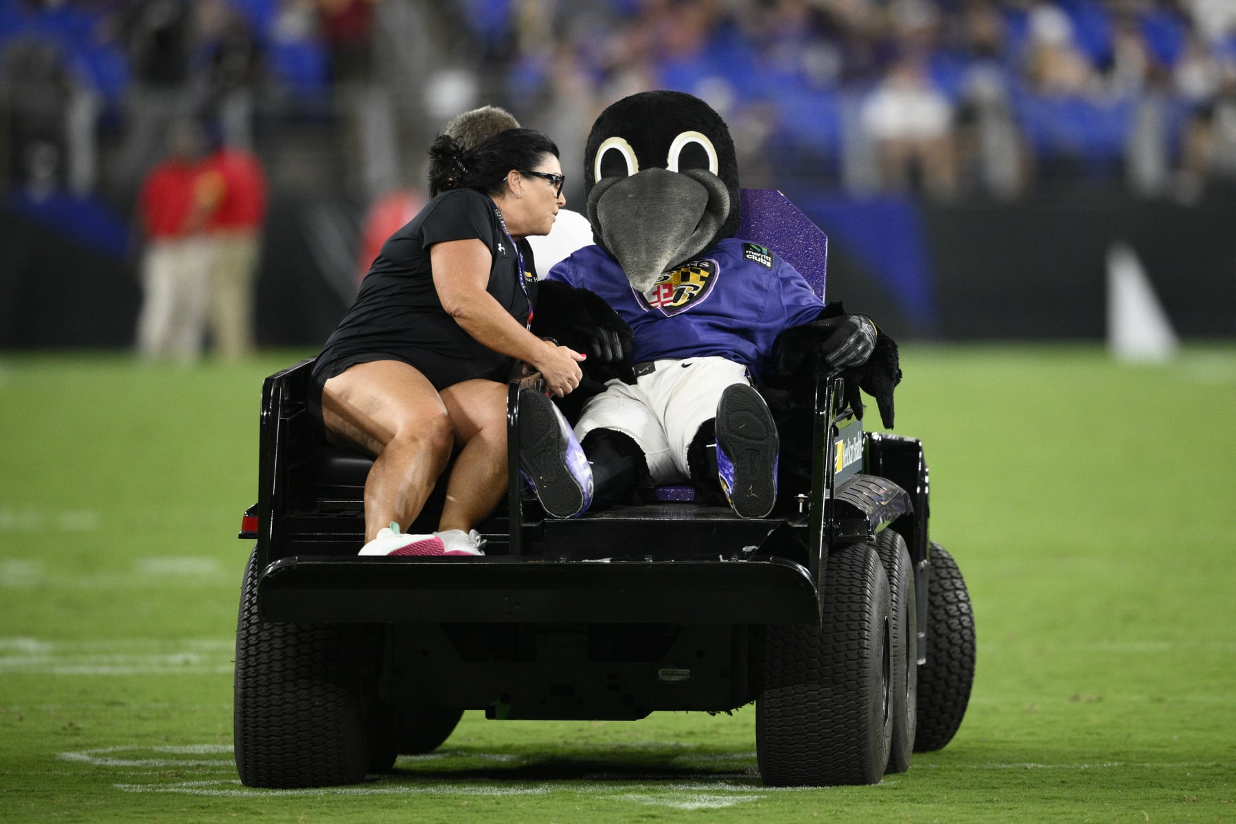 Ravens' Mascot Poe Jokingly Placed on IR by Ravens After Season-Ending ...