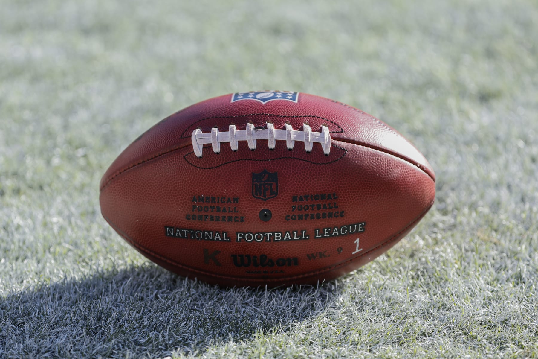 NFL Playoff Picture 2022: Wild Card Standings and Week 11 Super Bowl Odds