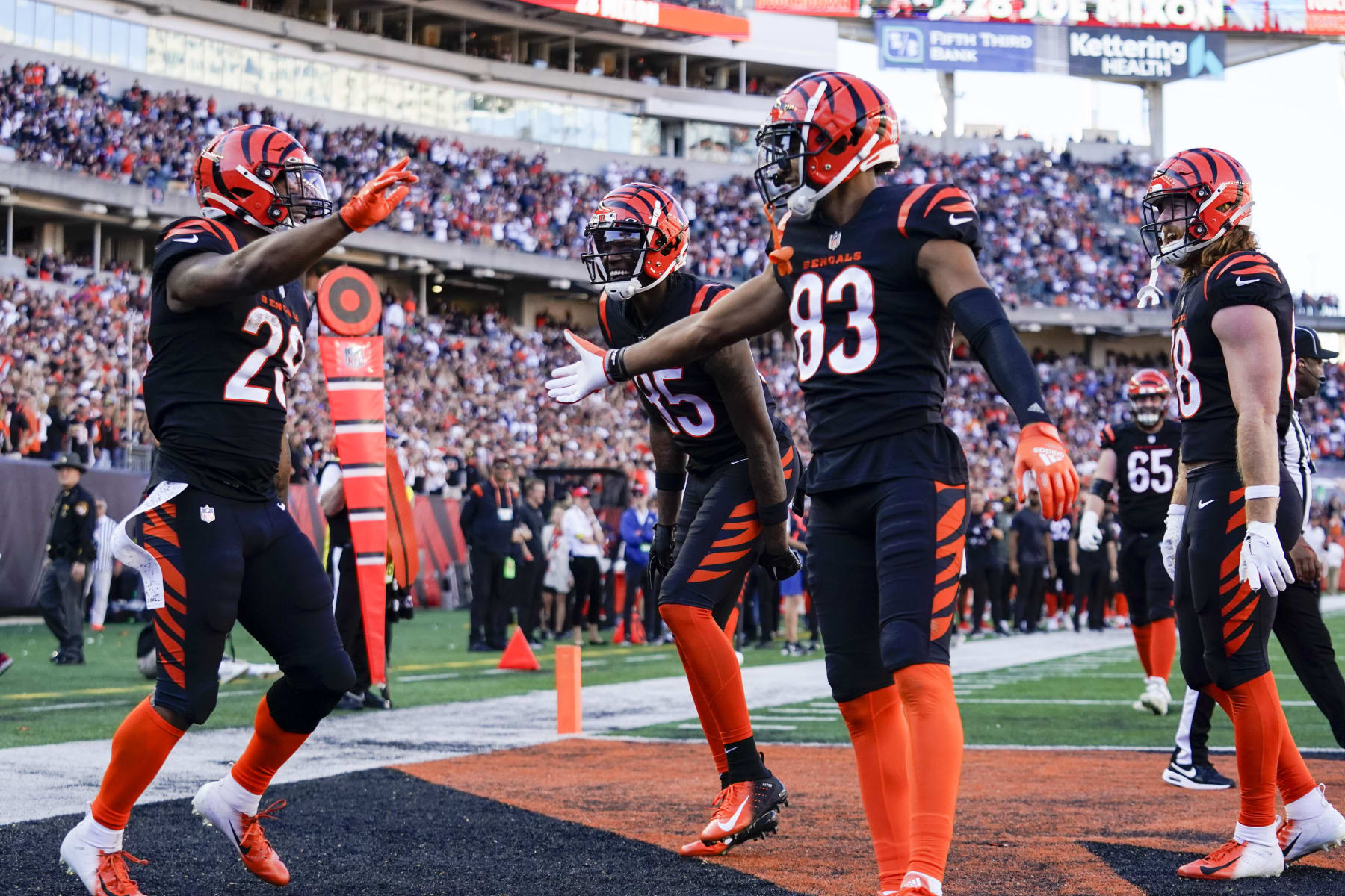 Week 11 DraftKings, FanDuel Daily Fantasy Football Picks, Lineup Tips ...