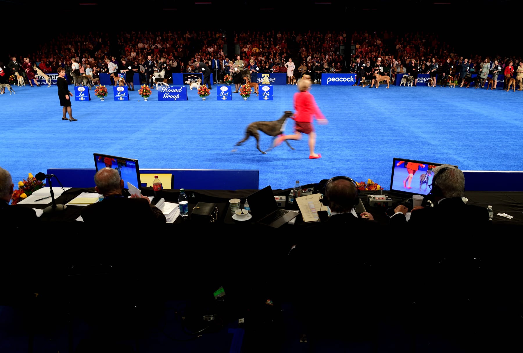 National Dog Show 2022 Results: Best in Show and List of Winners