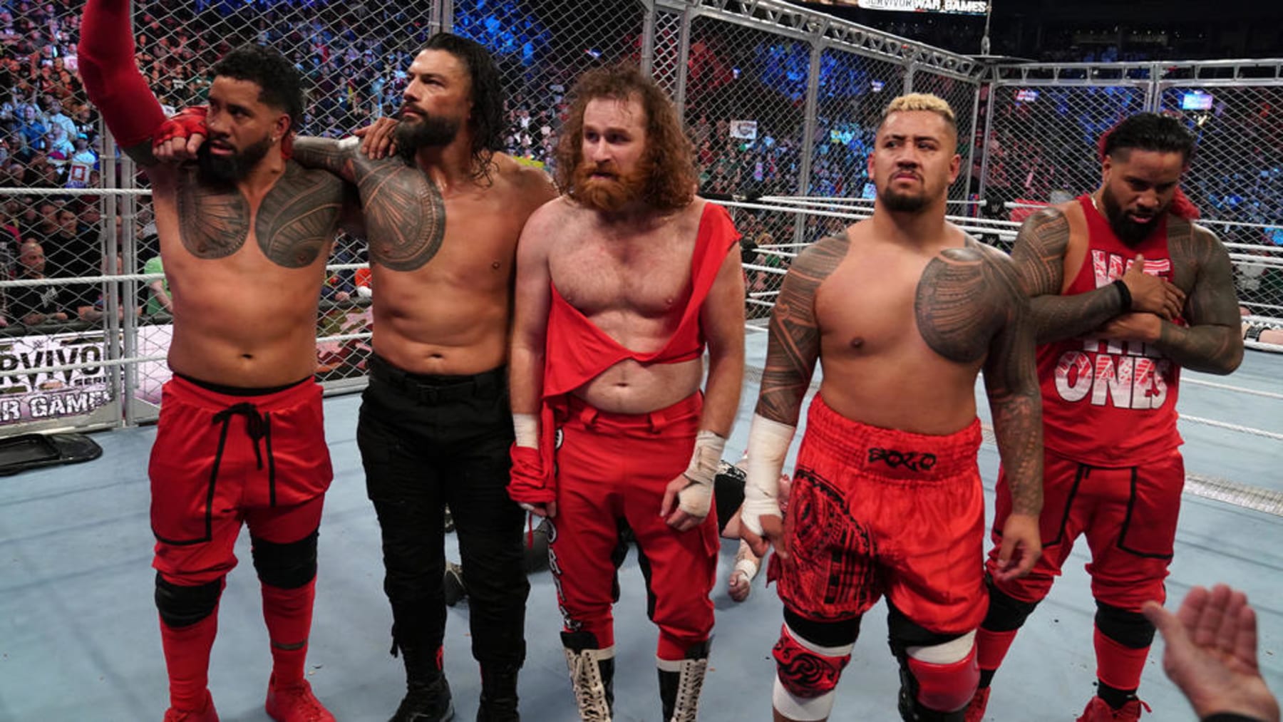 What's Next for Roman Reigns and The Bloodline After WWE Survivor ...