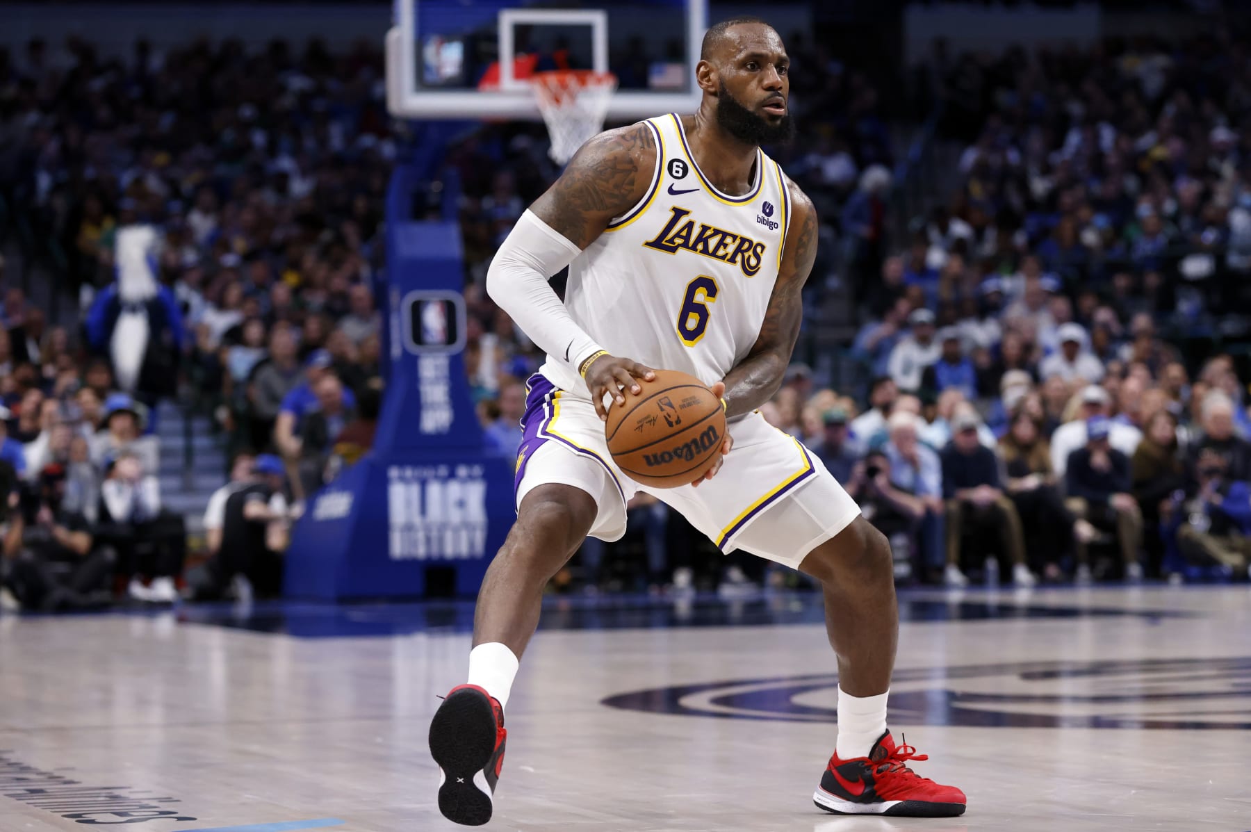 Lakers Rumors: Injured LeBron James 'Turning over Every Stone' to ...