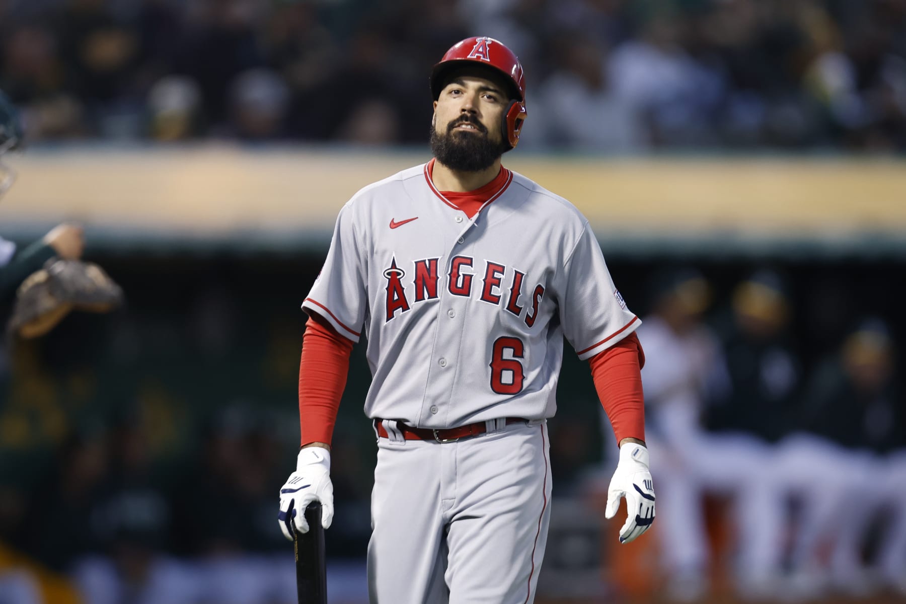 Angels' Anthony Rendon Suspended 4 Games for Altercation with Fan After ...