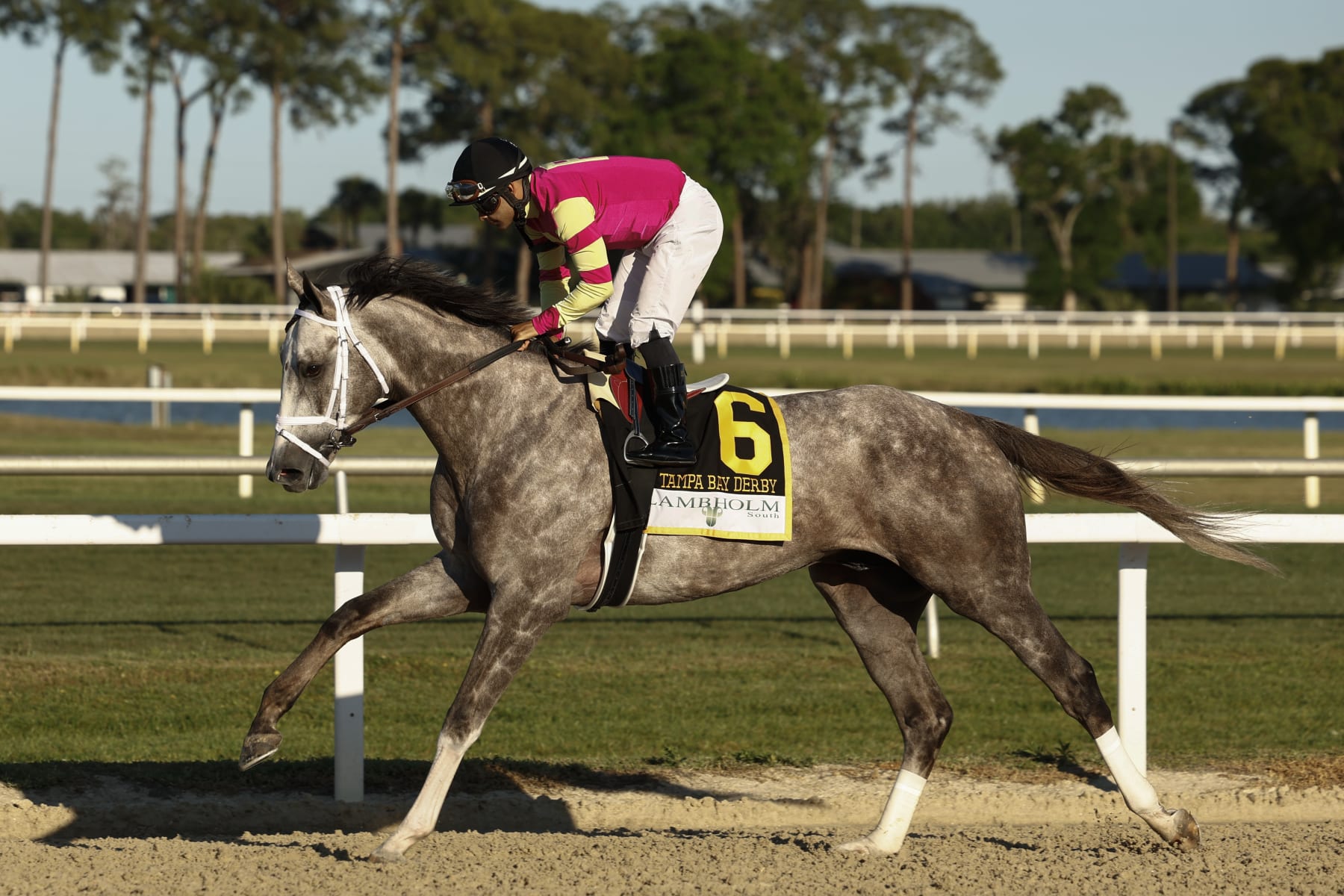 Kentucky Derby Post Draw 2023: Contenders, Dark Horses with Best Odds