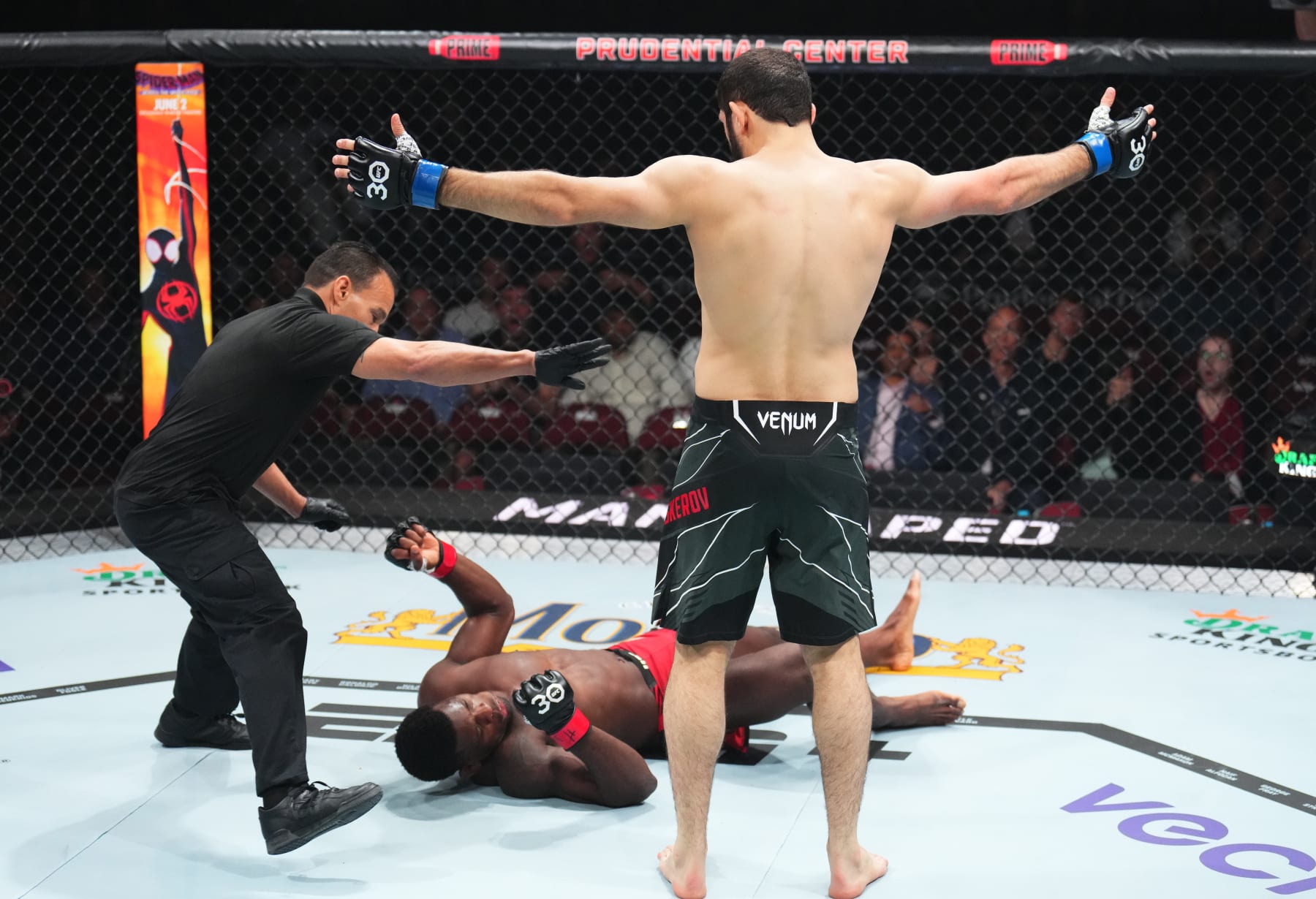 Aljamain Sterling and the Real Winners and Losers from UFC 288