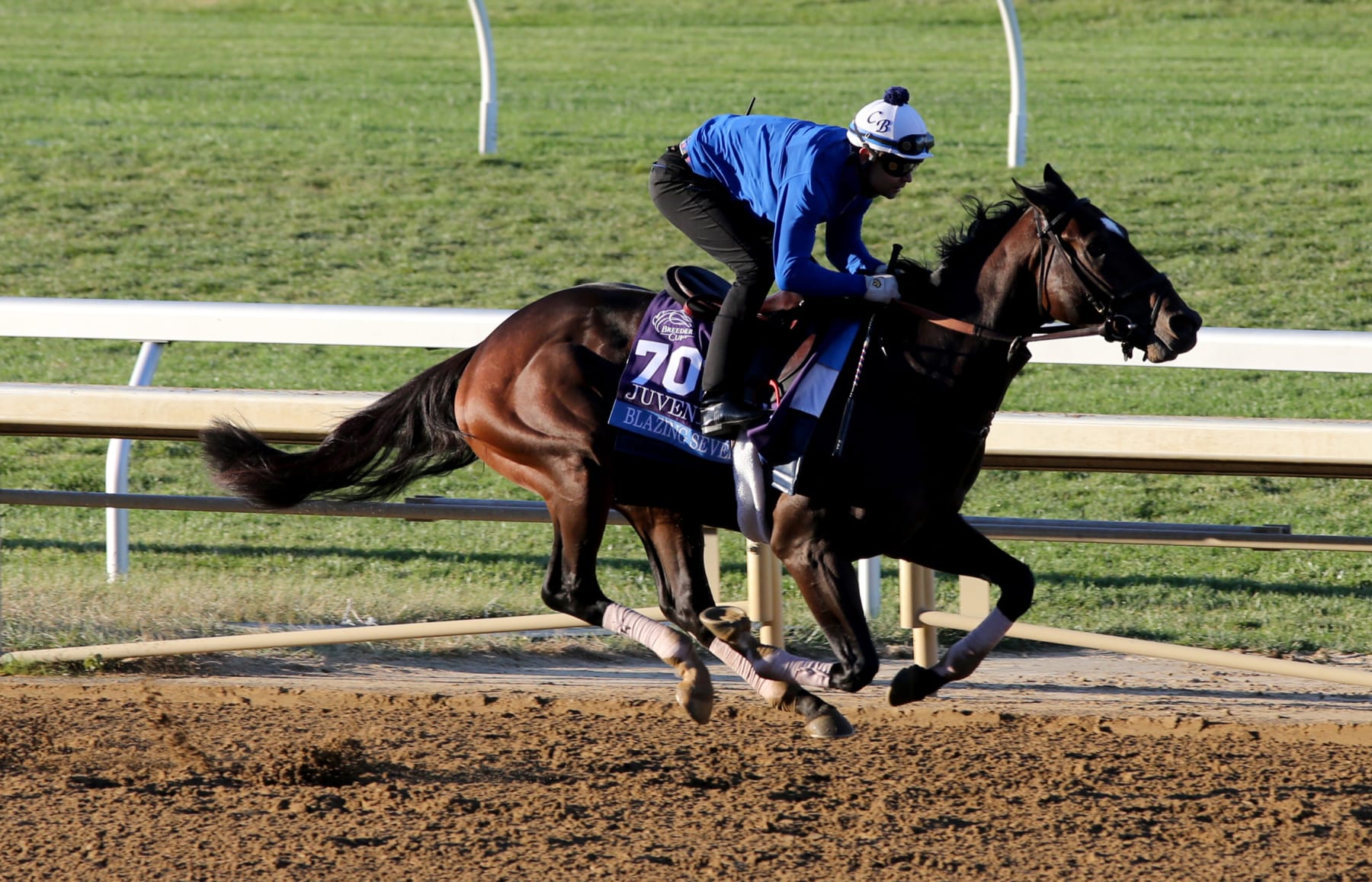 Preakness 2023: Entries, Contenders, Odds and Lineup Analysis
