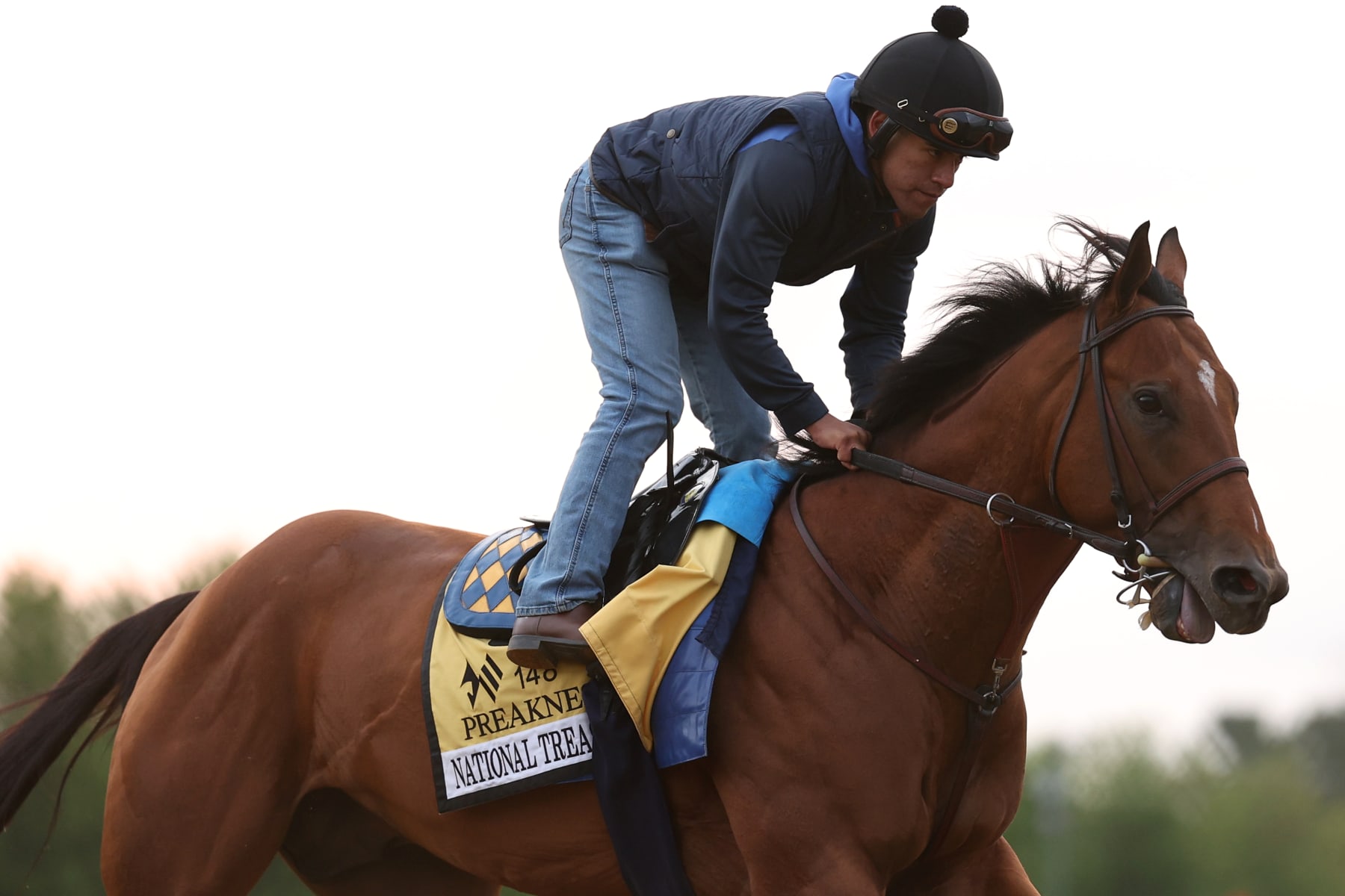 Preakness 2023 Lineup: Full Race Guide for All Horses and Jockeys
