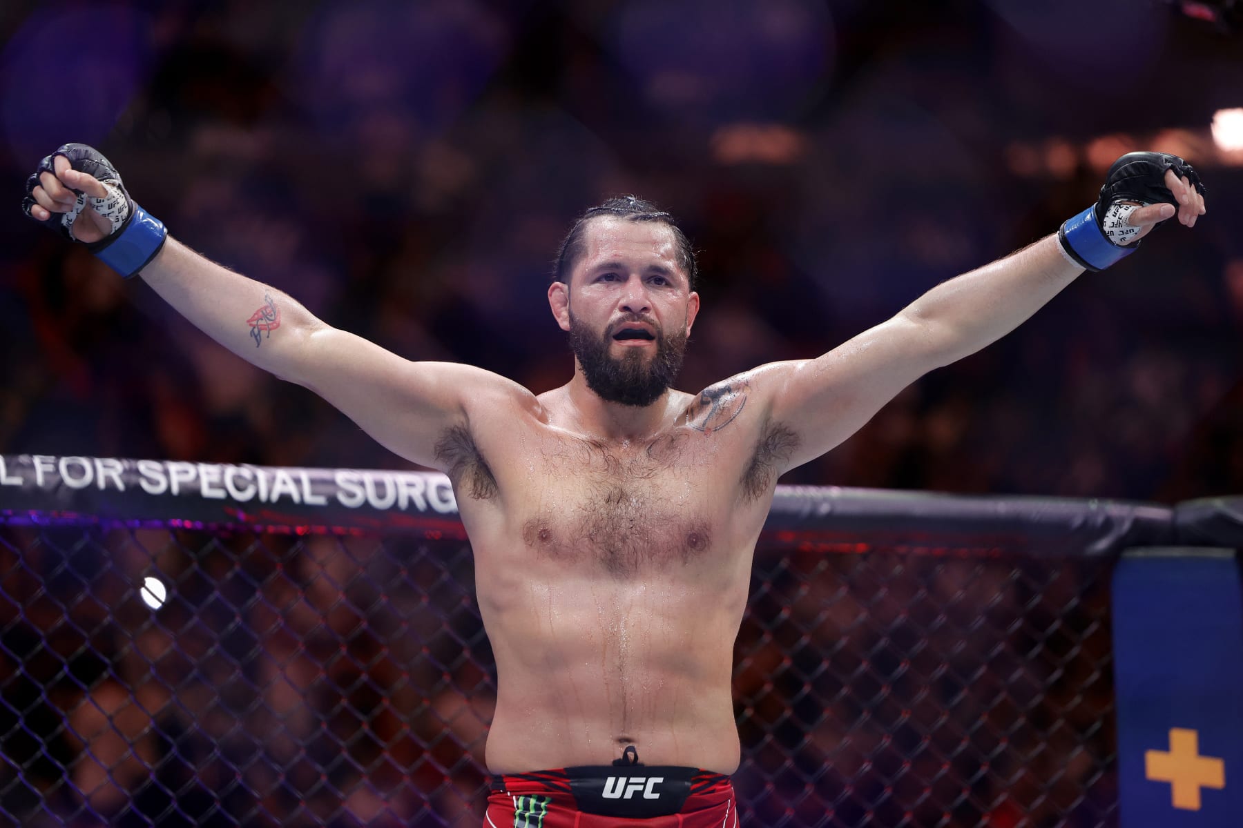 UFC Legend Jorge Masvidal Wants to Train Elon Musk for Mark Zuckerberg ...