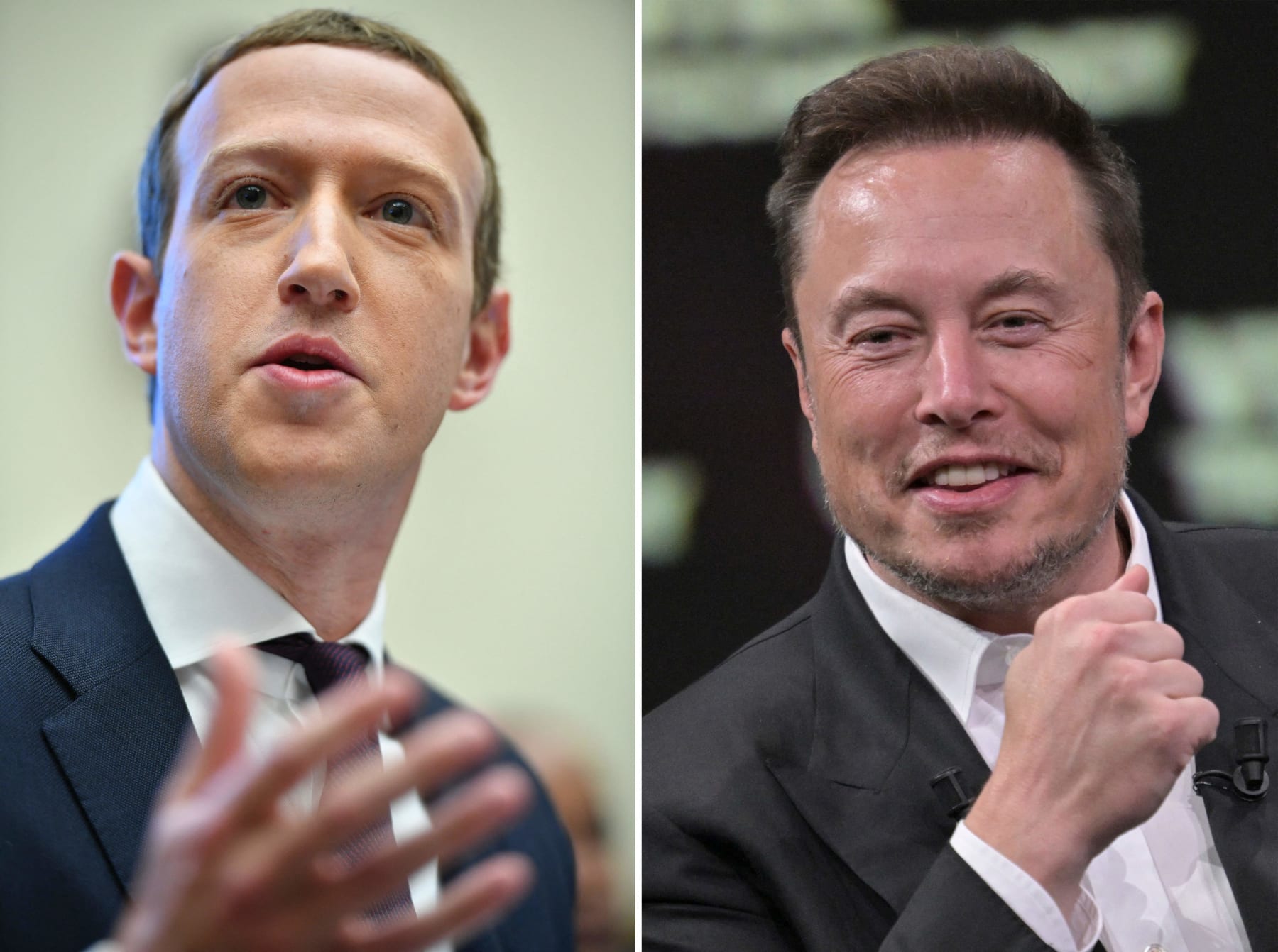 Elon Musk vs. Mark Zuckerberg Fight Confirmed; Money Will Be Donated to Veterans