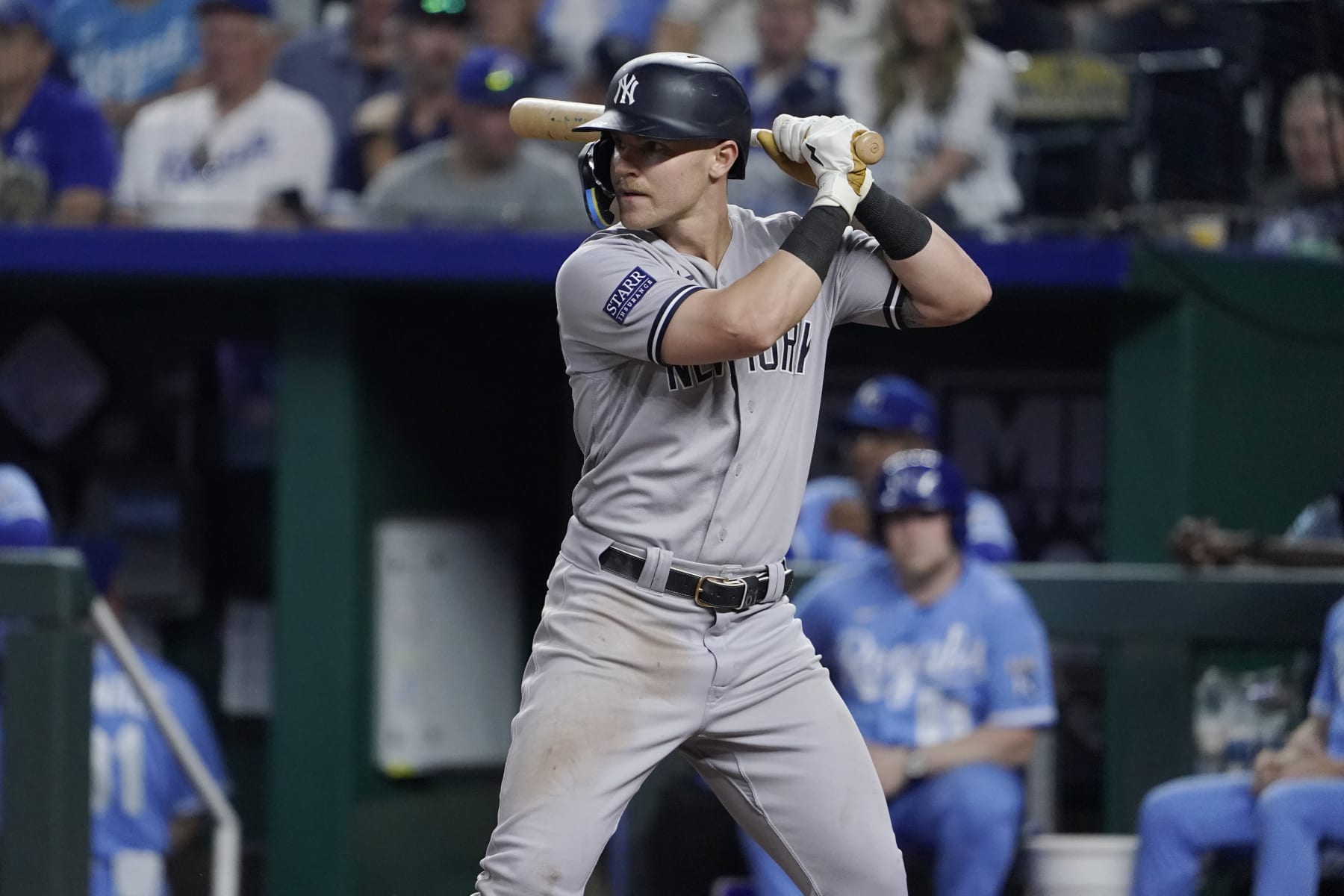 Yankees News: Jake Bauers Traded to Brewers for Jace Avina, Brian Sanchez