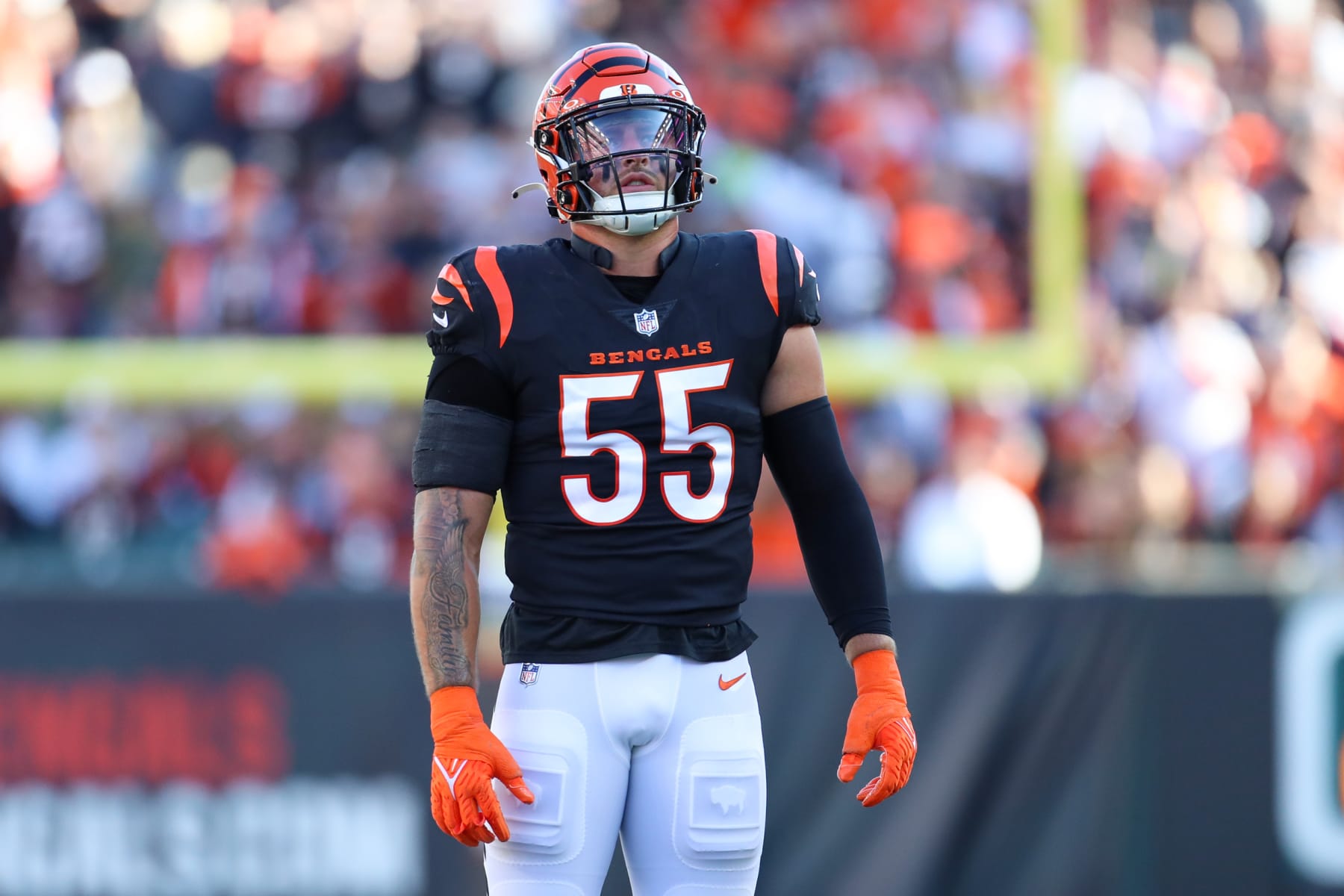 Logan Wilson Defended by Zac Taylor After Multiple Injuries in Bengals ...