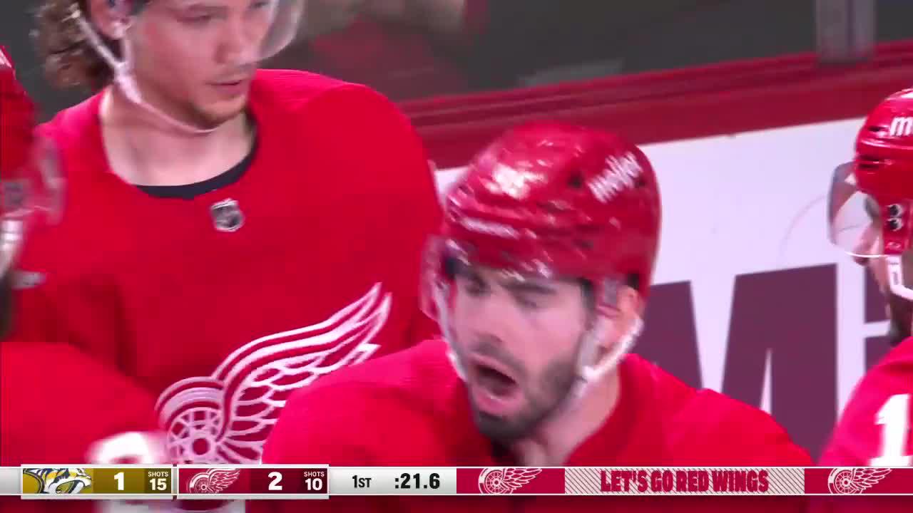 Detroit Red Wings | National Hockey League, News, Scores, Highlights ...