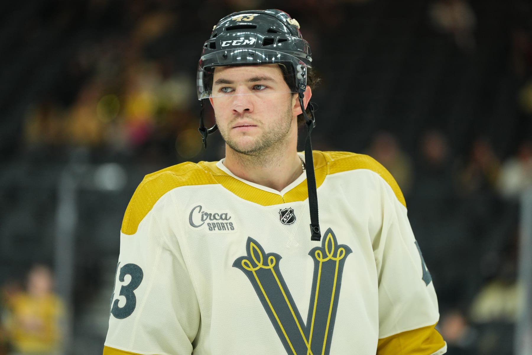 2024 Mock NHL Expansion Draft for a Franchise in Salt Lake City