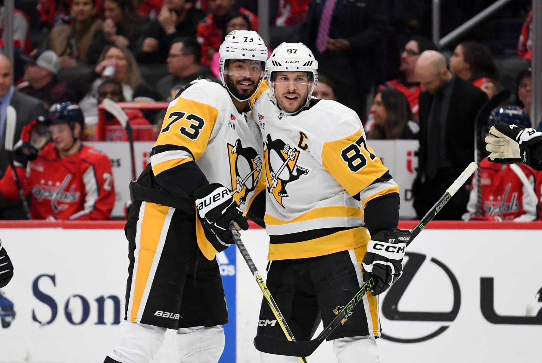 NHL Playoff Picture 2024: Wild-Card Hunt and Updated Stanley Cup Odds