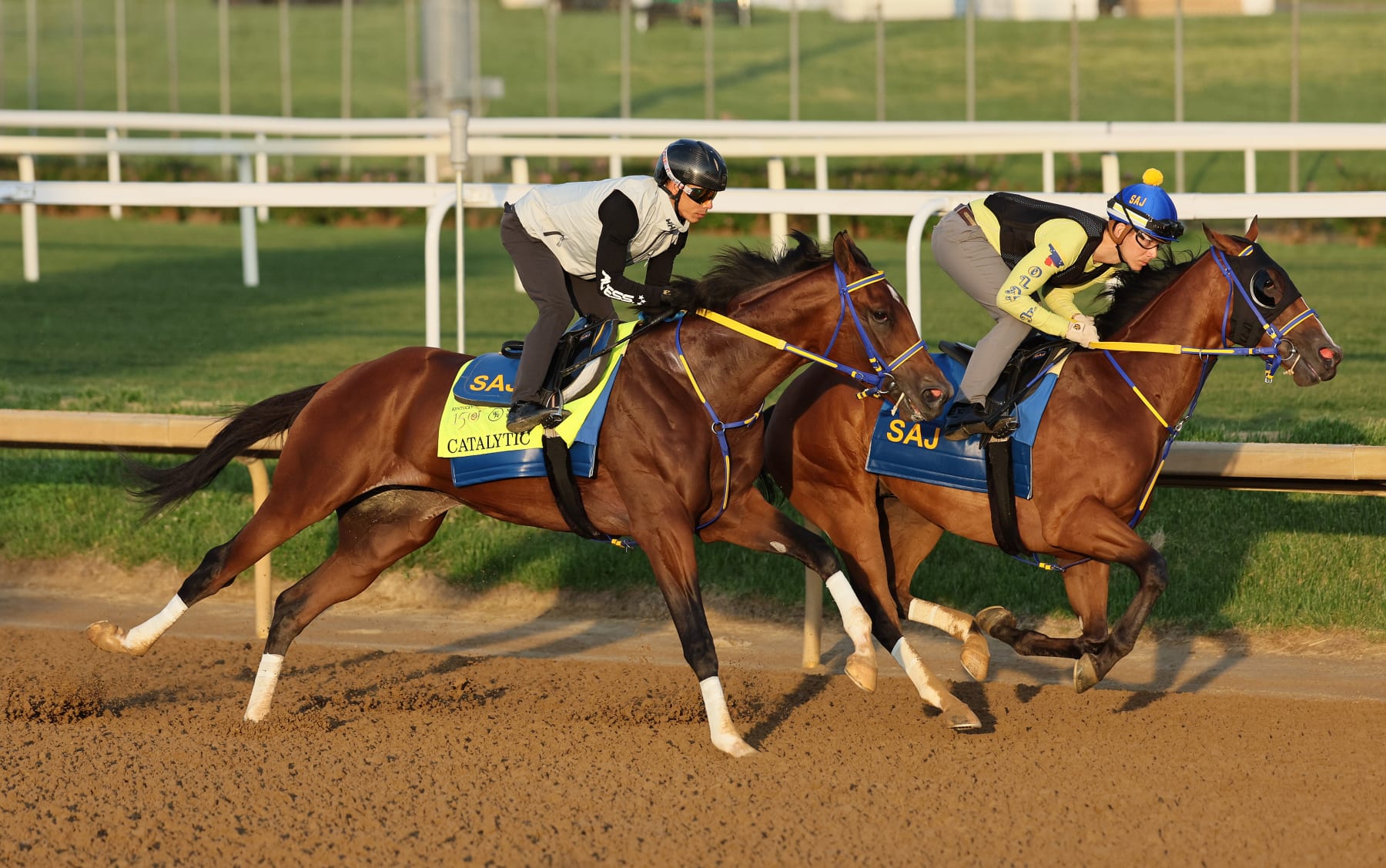 Kentucky Derby 2024 Odds: Latest Betting Lines and Predictions