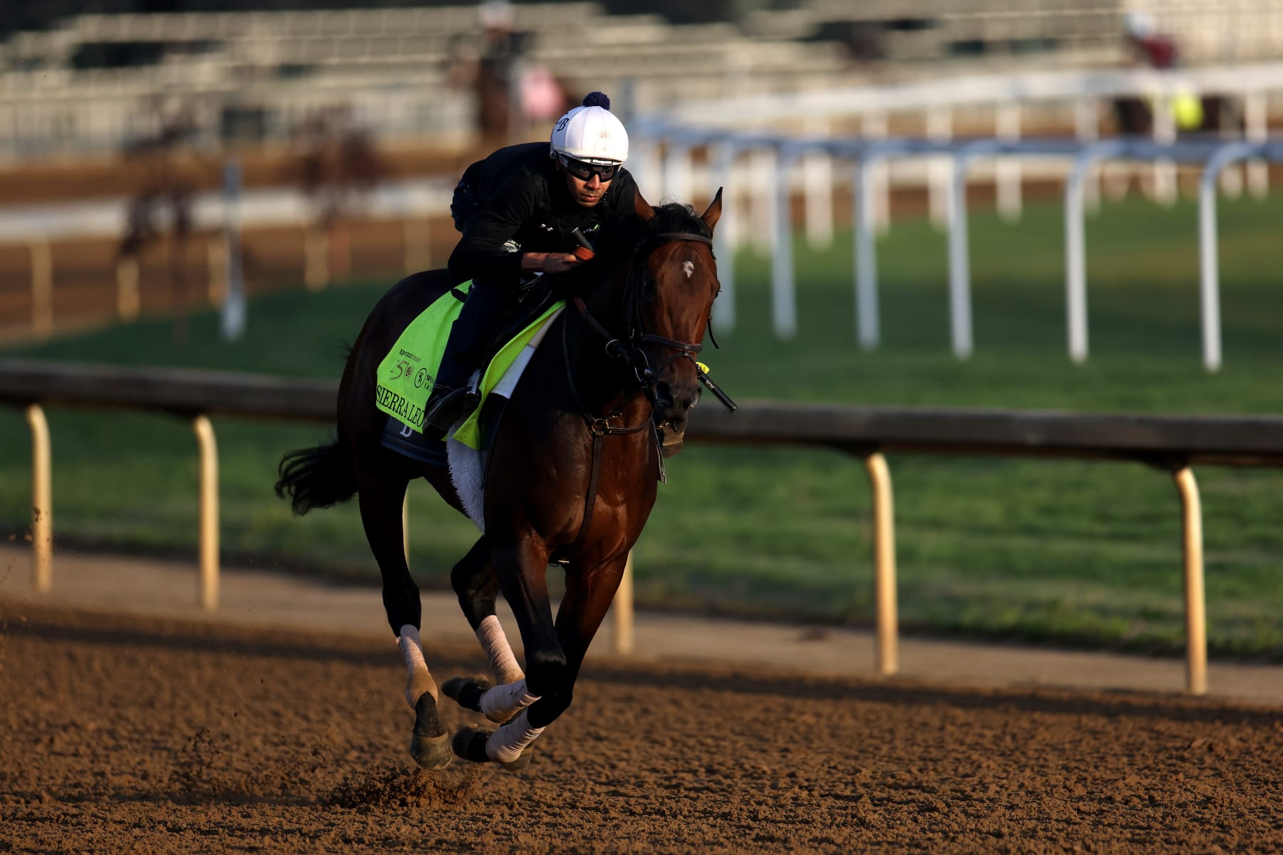 Kentucky Derby Field 2024: Pinpointing Contenders from All Horses and ...