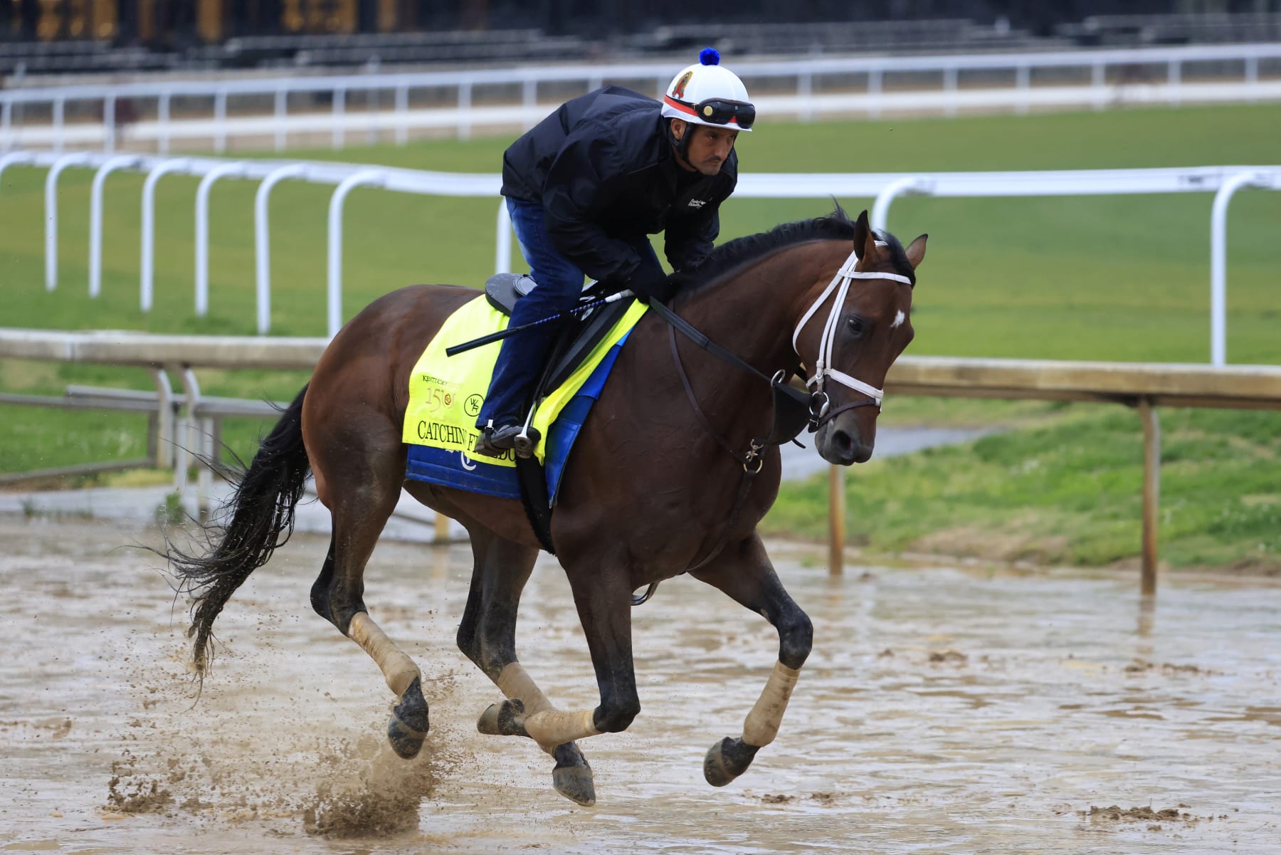 Preakness 2024: Entries, Contenders, Odds and Lineup Analysis