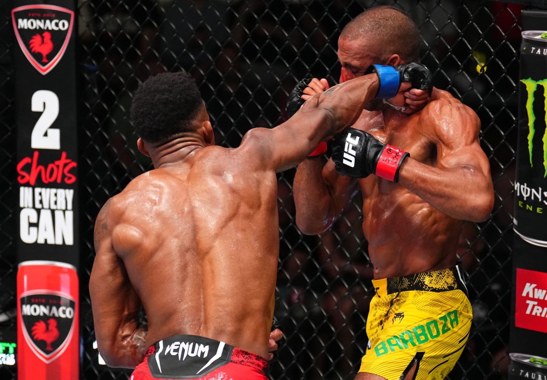 The Real Winners and Losers From UFC Fight Night 241