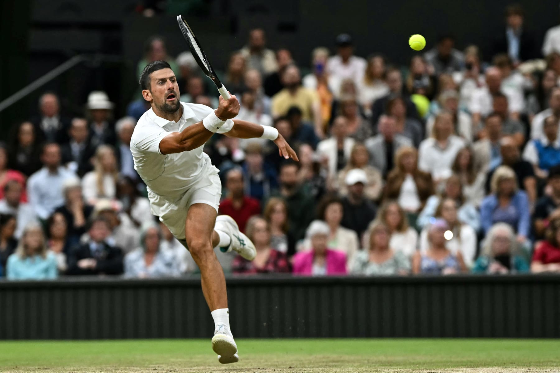 Wimbledon 2024 Men's Semifinal: TV Schedule, Start Time, Live Stream Info