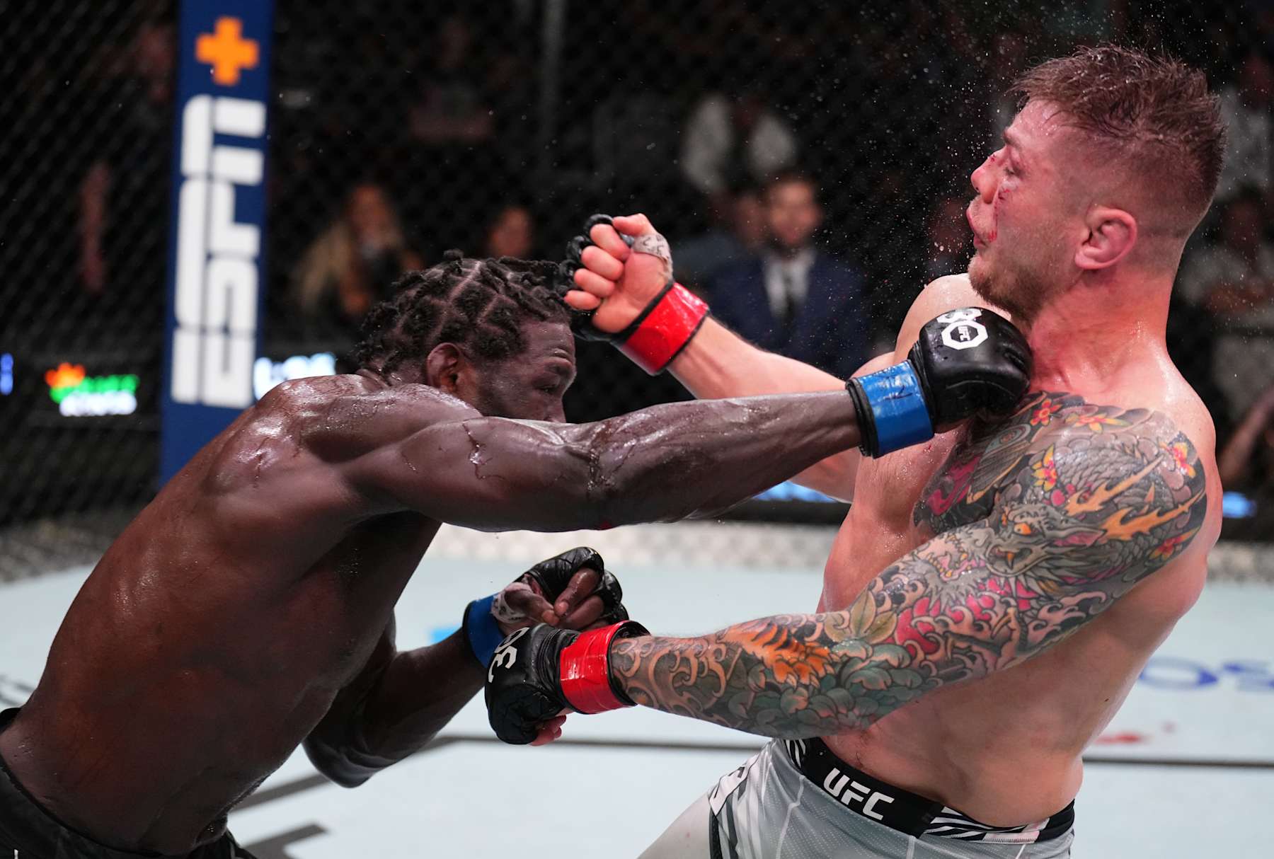 Dricus du Plessis, Israel Adesanya's Next Best Fights After UFC 305 Results