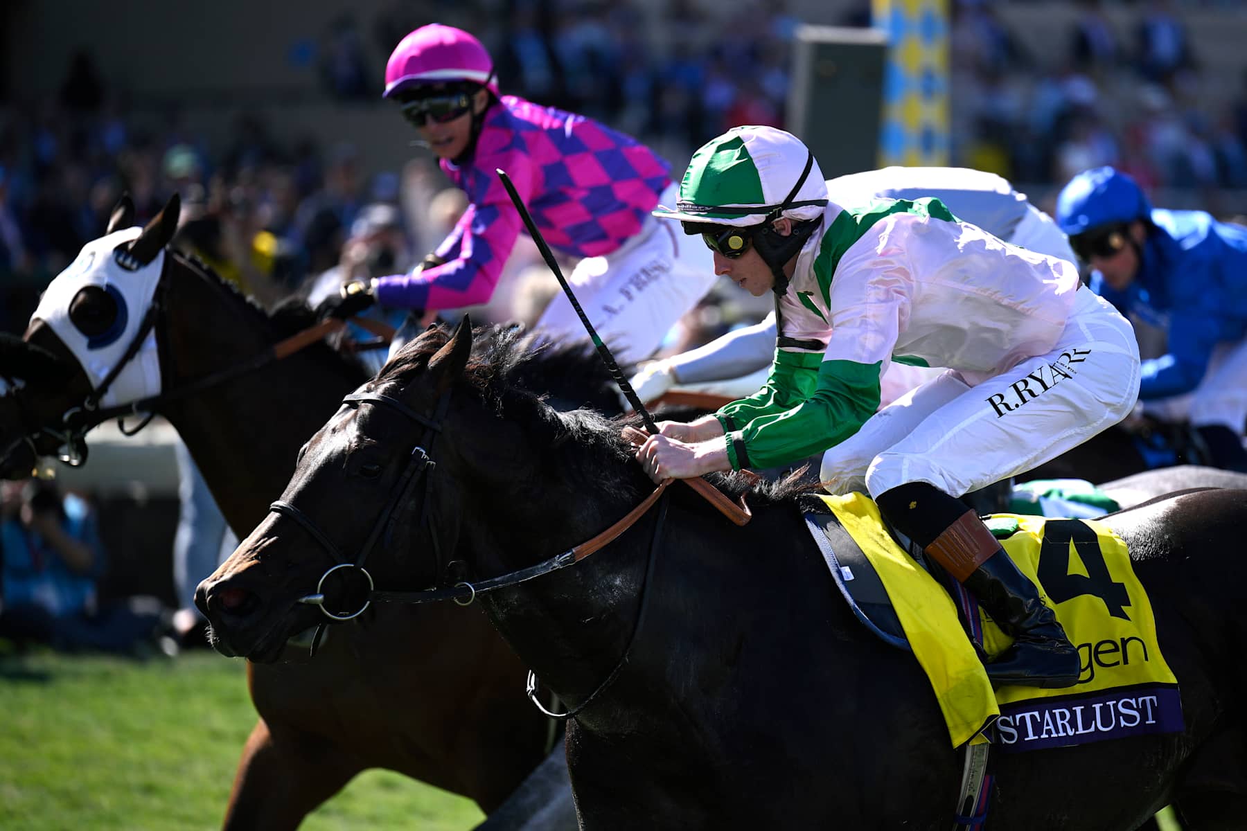 Breeders' Cup 2024 Results: Tracking Winners and Prize Money Payouts on ...