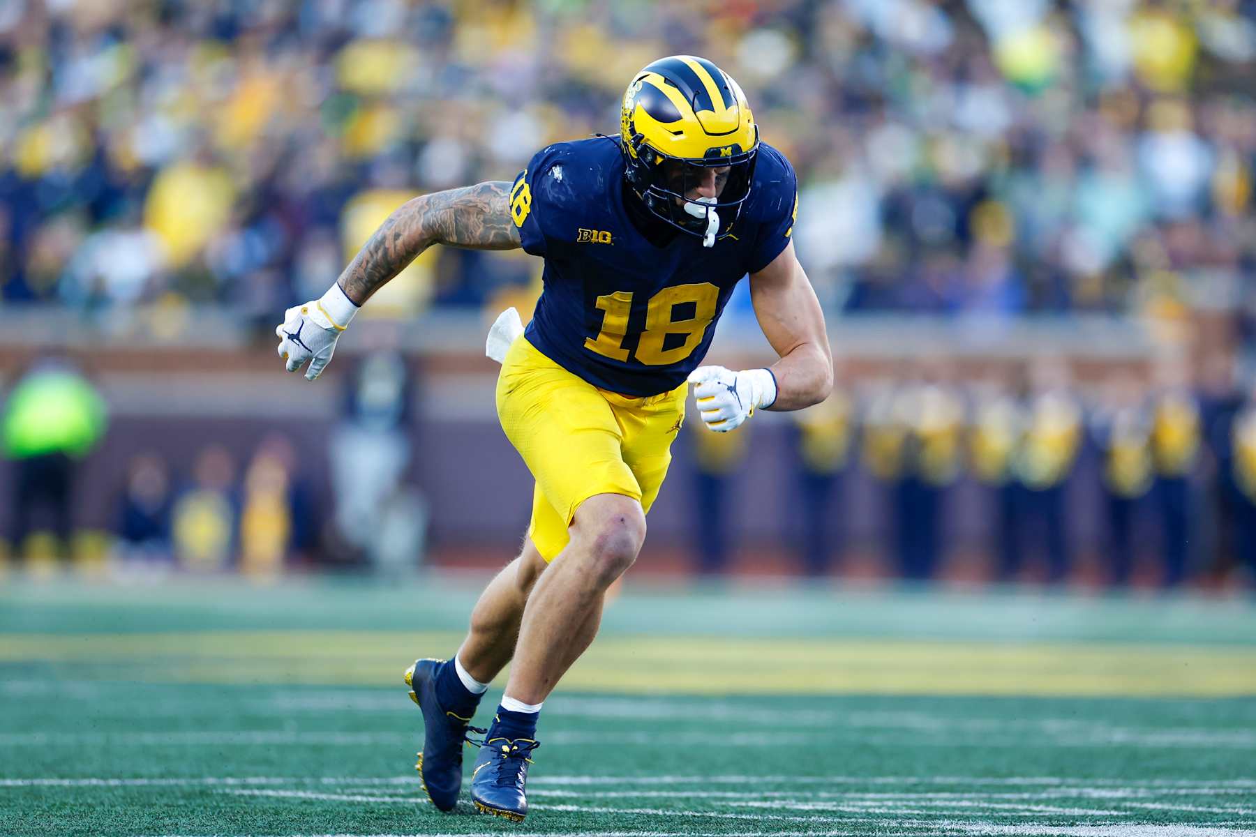 Michigan's Colston Loveland Declares for 2025 NFL Draft; No. 1 TE on B ...