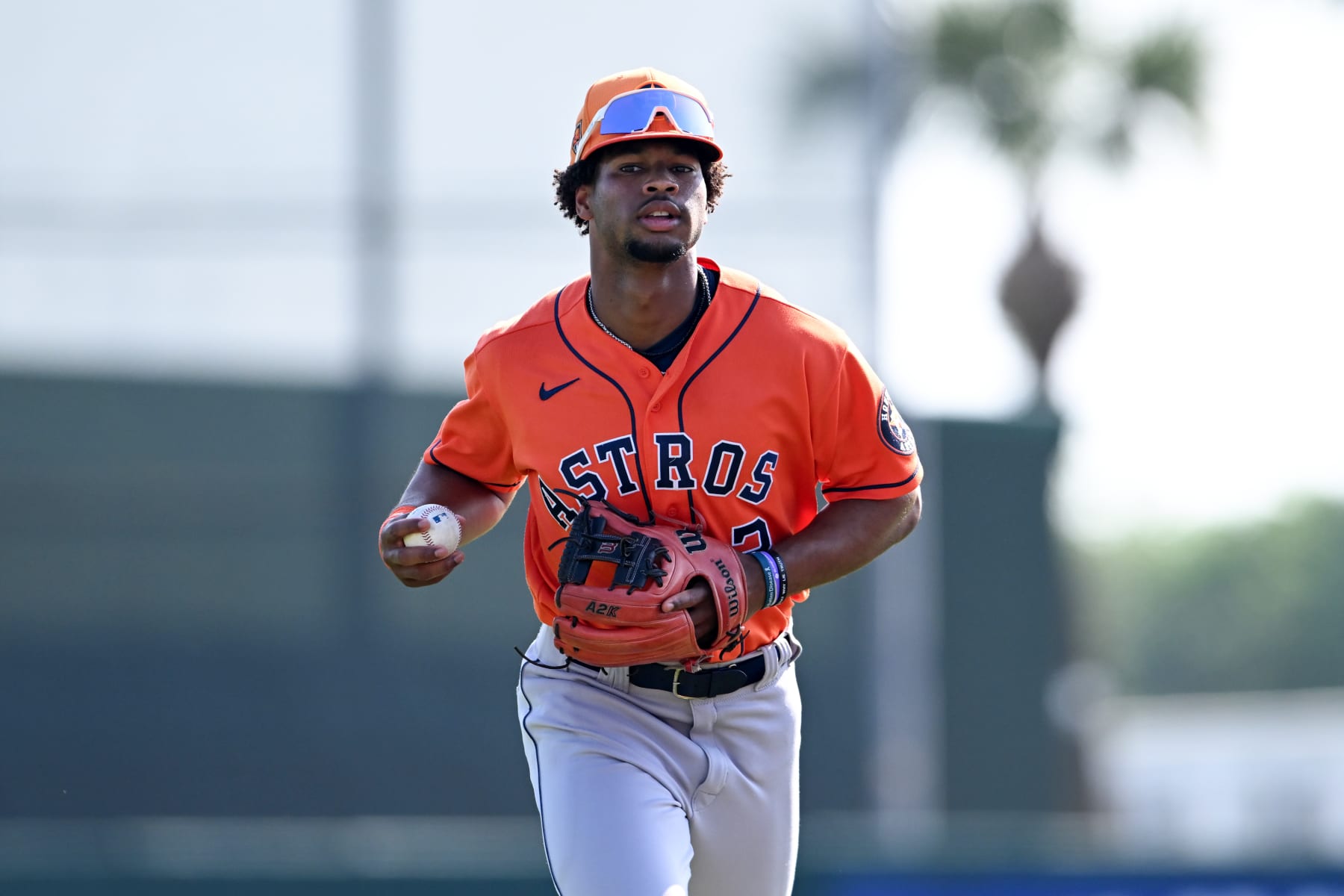 Updated MLB Farm System Rankings, June Edition