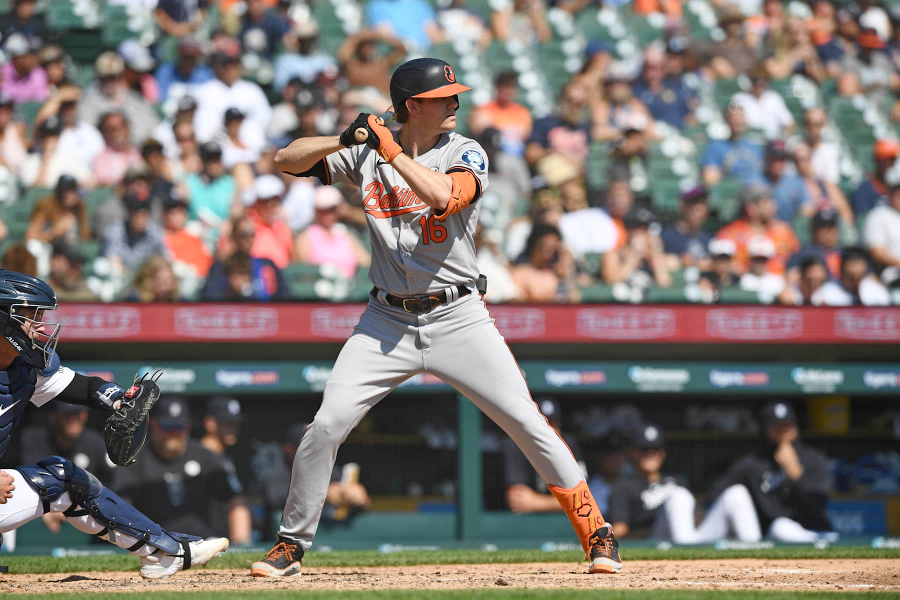 Updated MLB Farm System Rankings for the 2024-25 Offseason