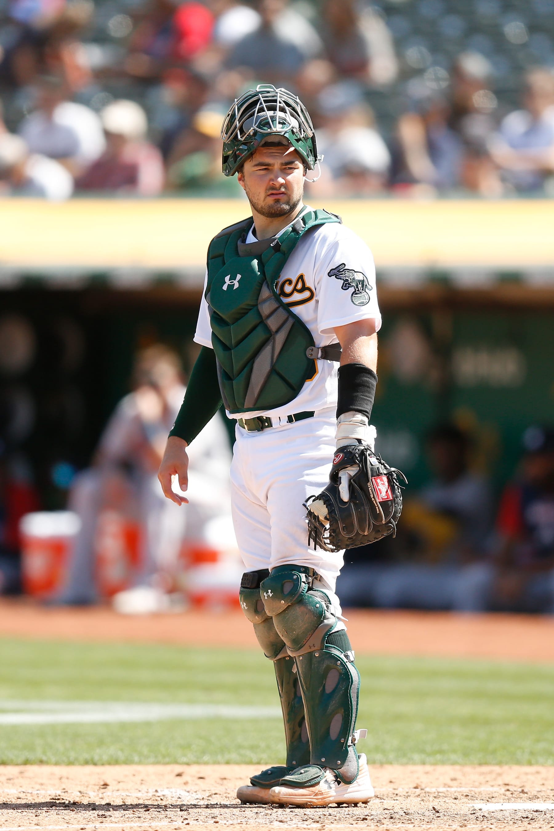 MLB Position Rankings 2023 for Every Team's Starting Catcher
