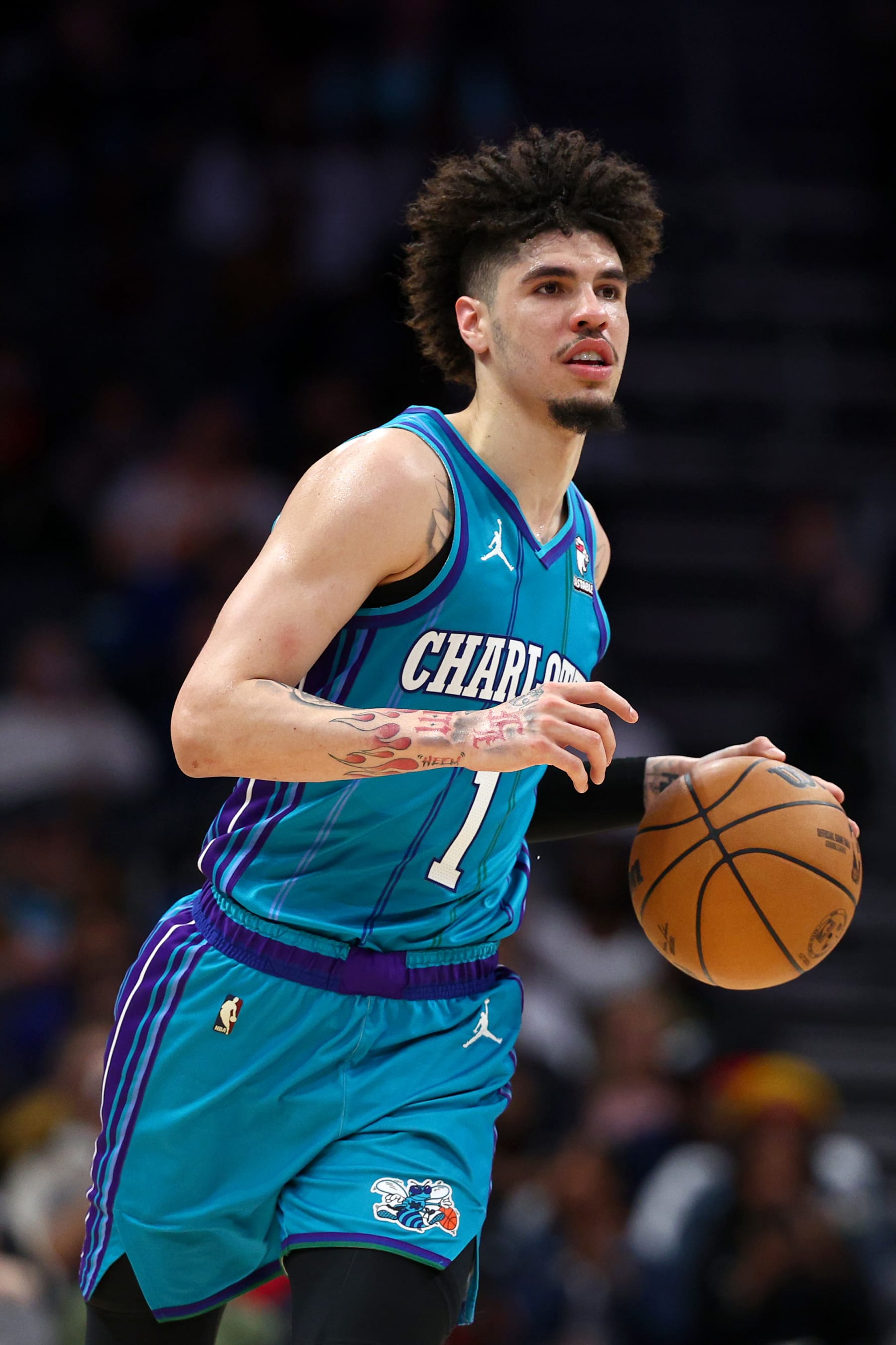 LaMelo Ball, Hornets Sued after NBA Player Allegedly Drove Over 11-Year ...