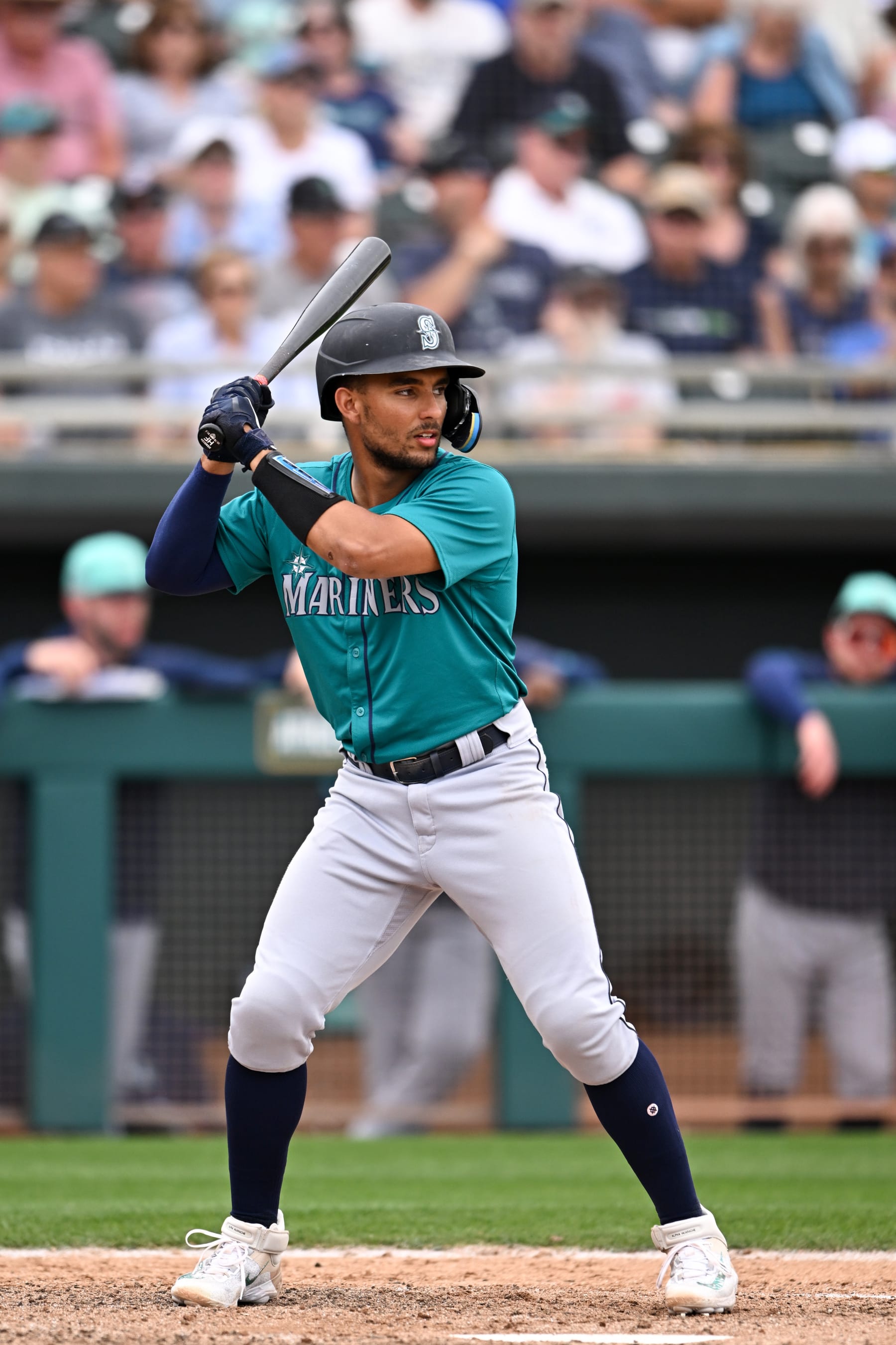 MLB Farm System Rankings for the 2024 Season