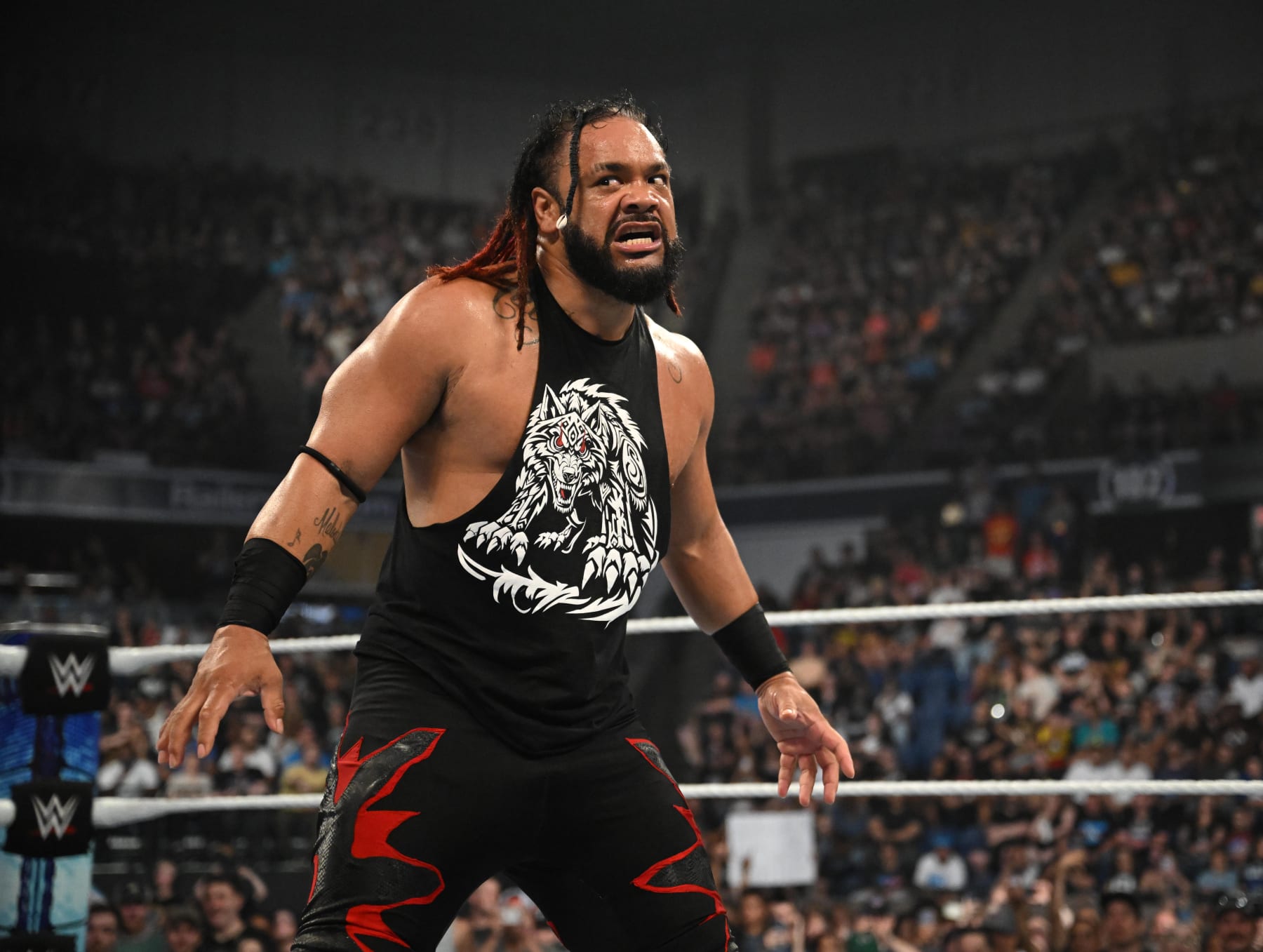 Jacob Fatu Injury Update: WWE Rumors on Hardy Boyz and Seth Rollins in Punk-McIntyre