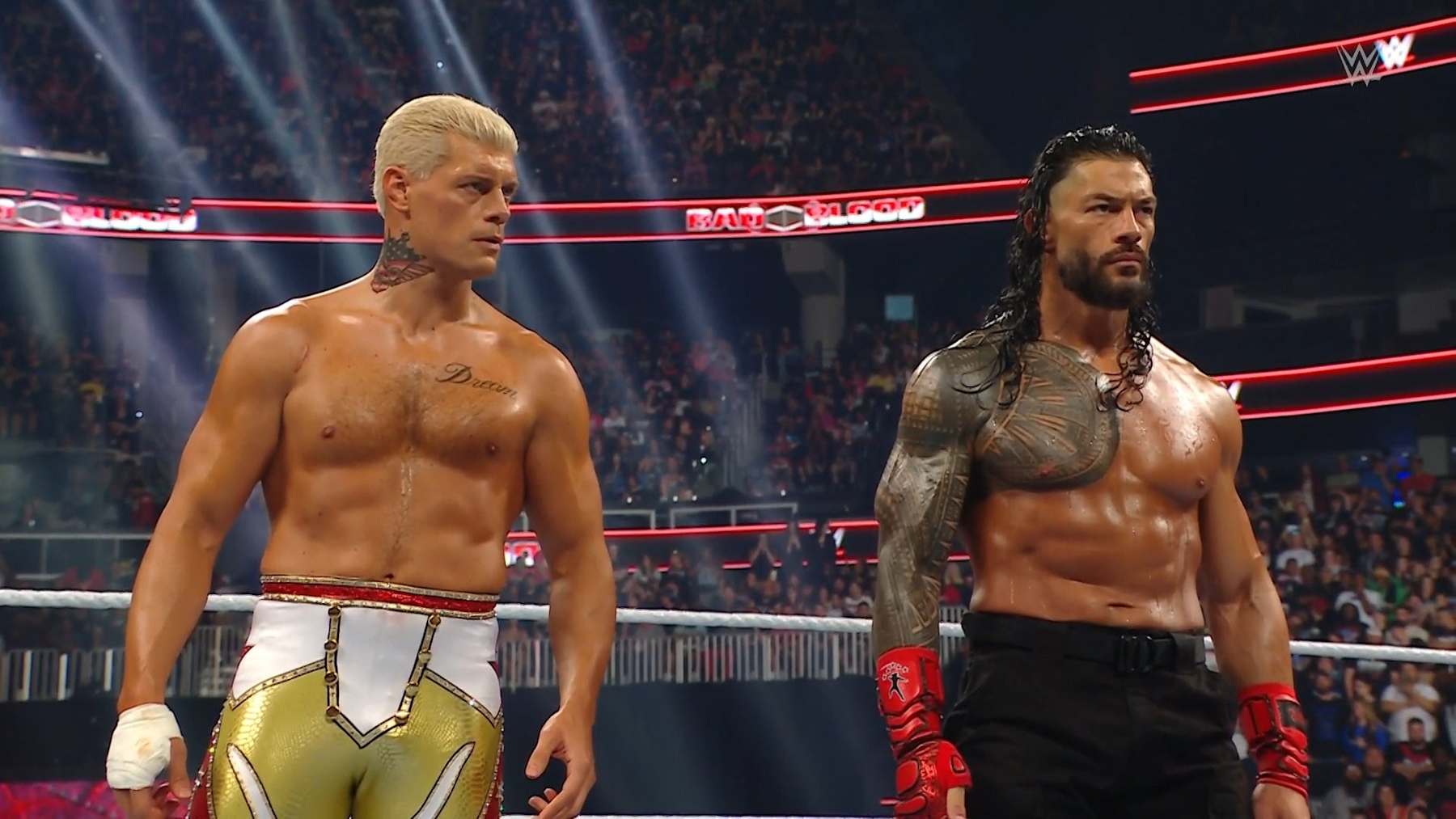 Rhodes y Reigns trabajan bien juntos y las principales conclusiones de ...