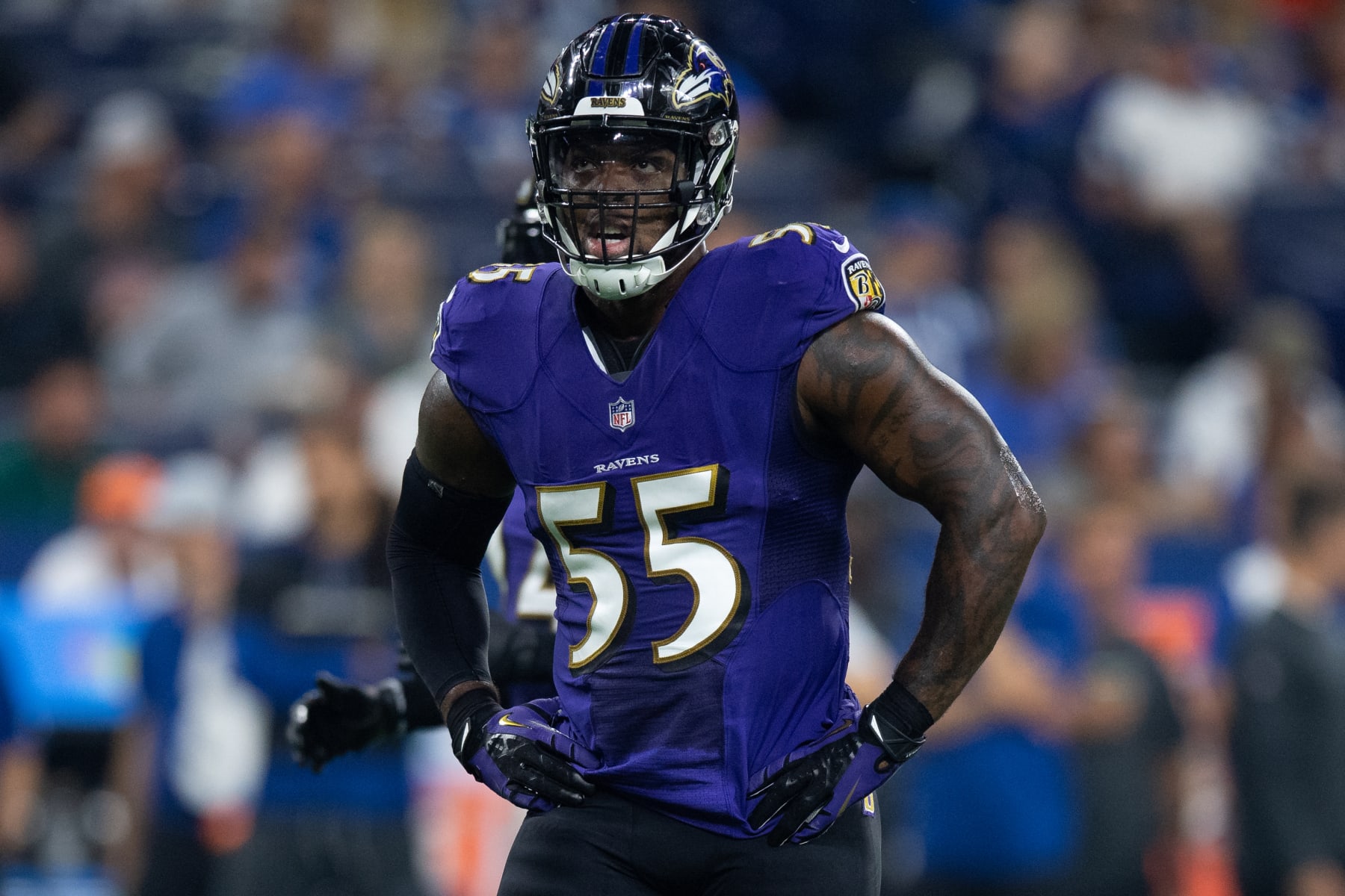 Terrell Suggs on Ravens' Ring of Honor Induction: 'Priceless. It's Very ...