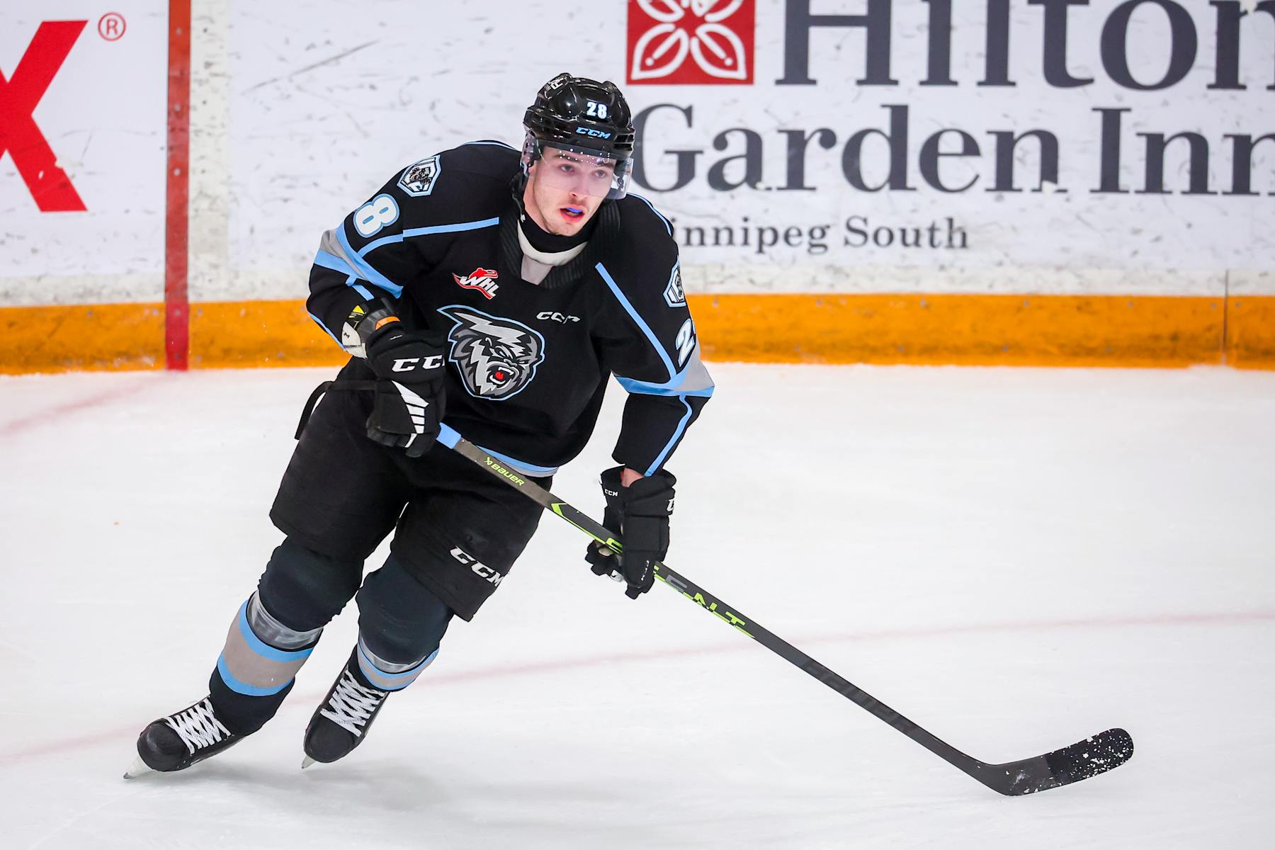 Ranking Every NHL Team's Prospect Pool for the 2024-25 Season