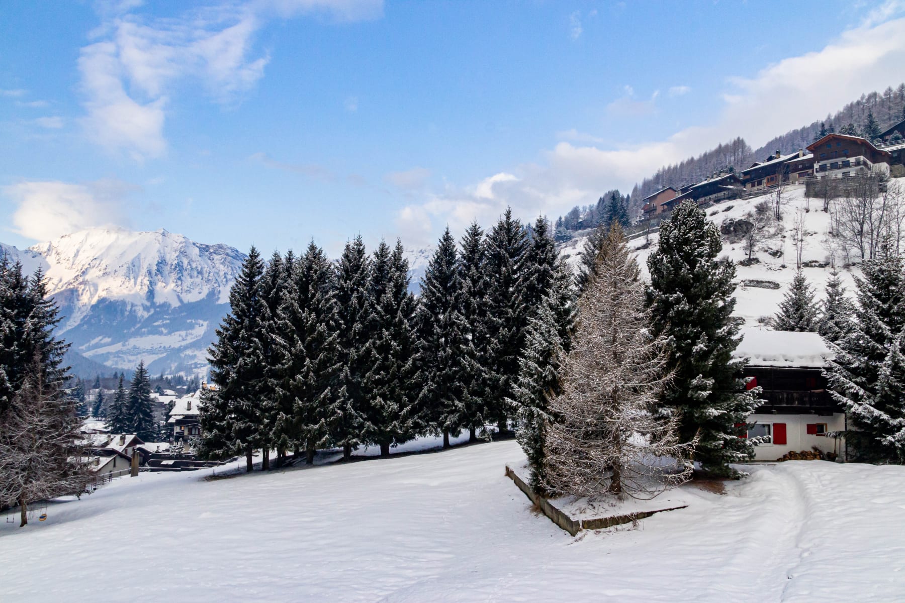 Skier Jean Daniel Pession, Girlfriend Die After Falling Off Mountain in ...