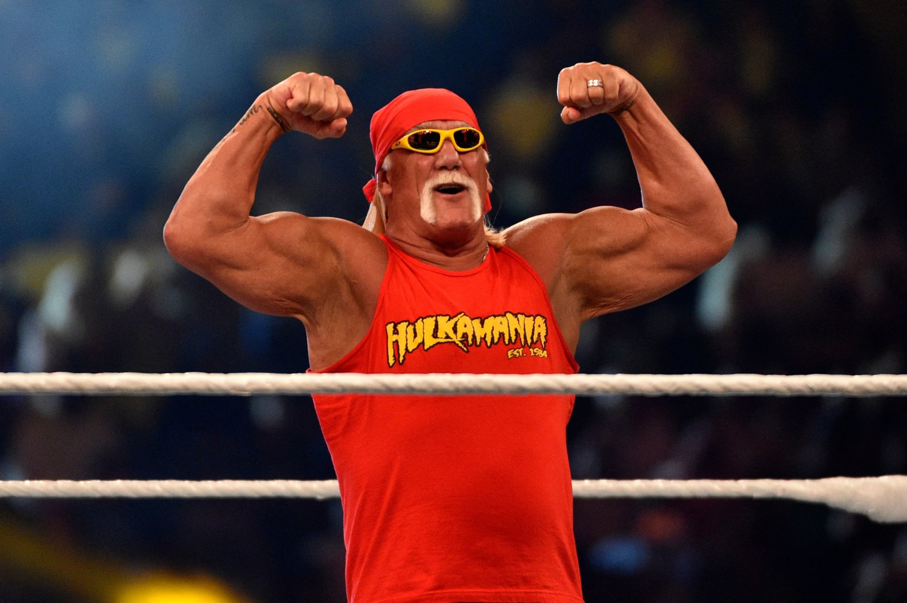 Hulk Hogan, Girlfriend Sky Daily Announce Engagement After Dating for ...