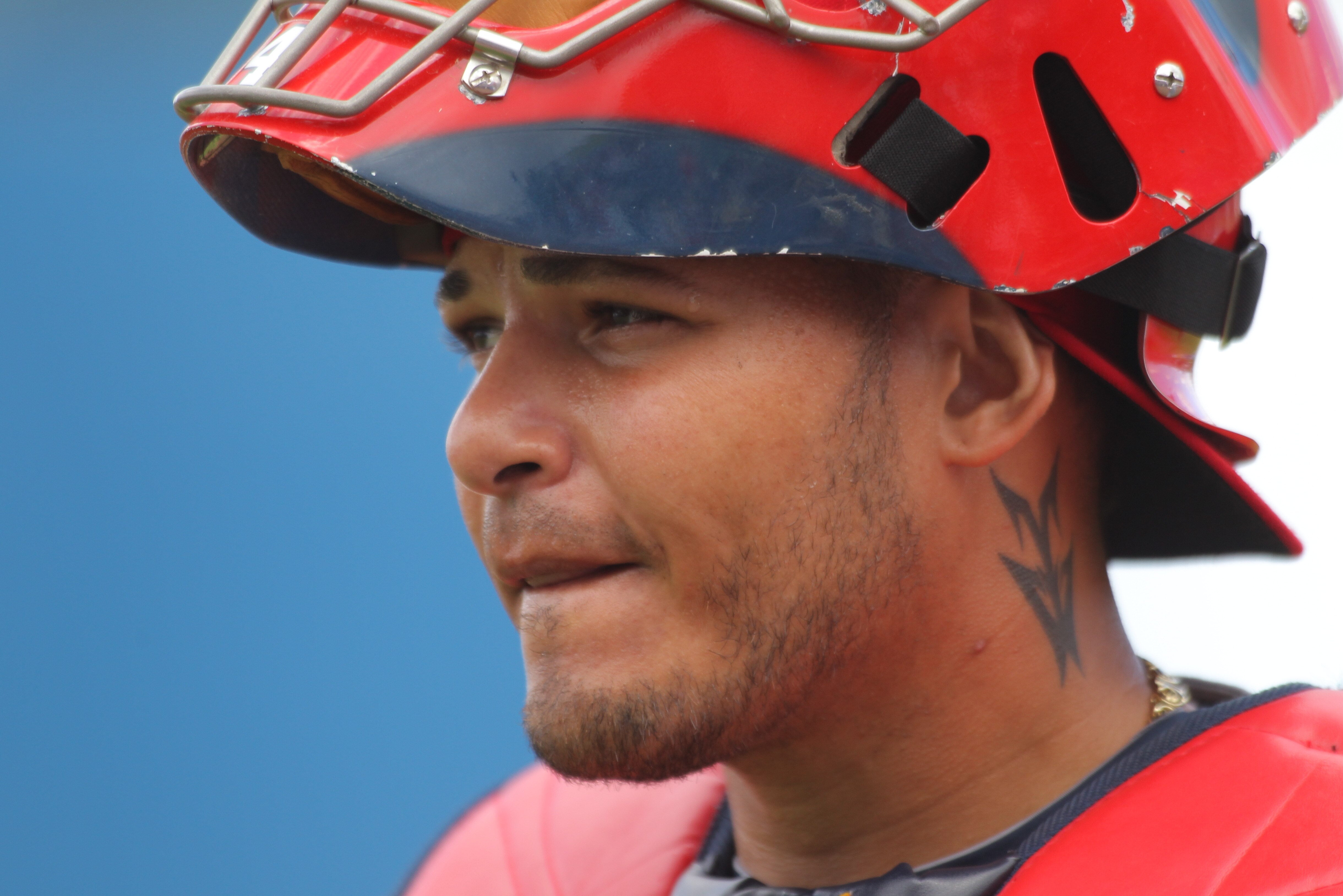 St. Louis Cardinals: Why Yadier Molina Is Best Catcher in Major League ...